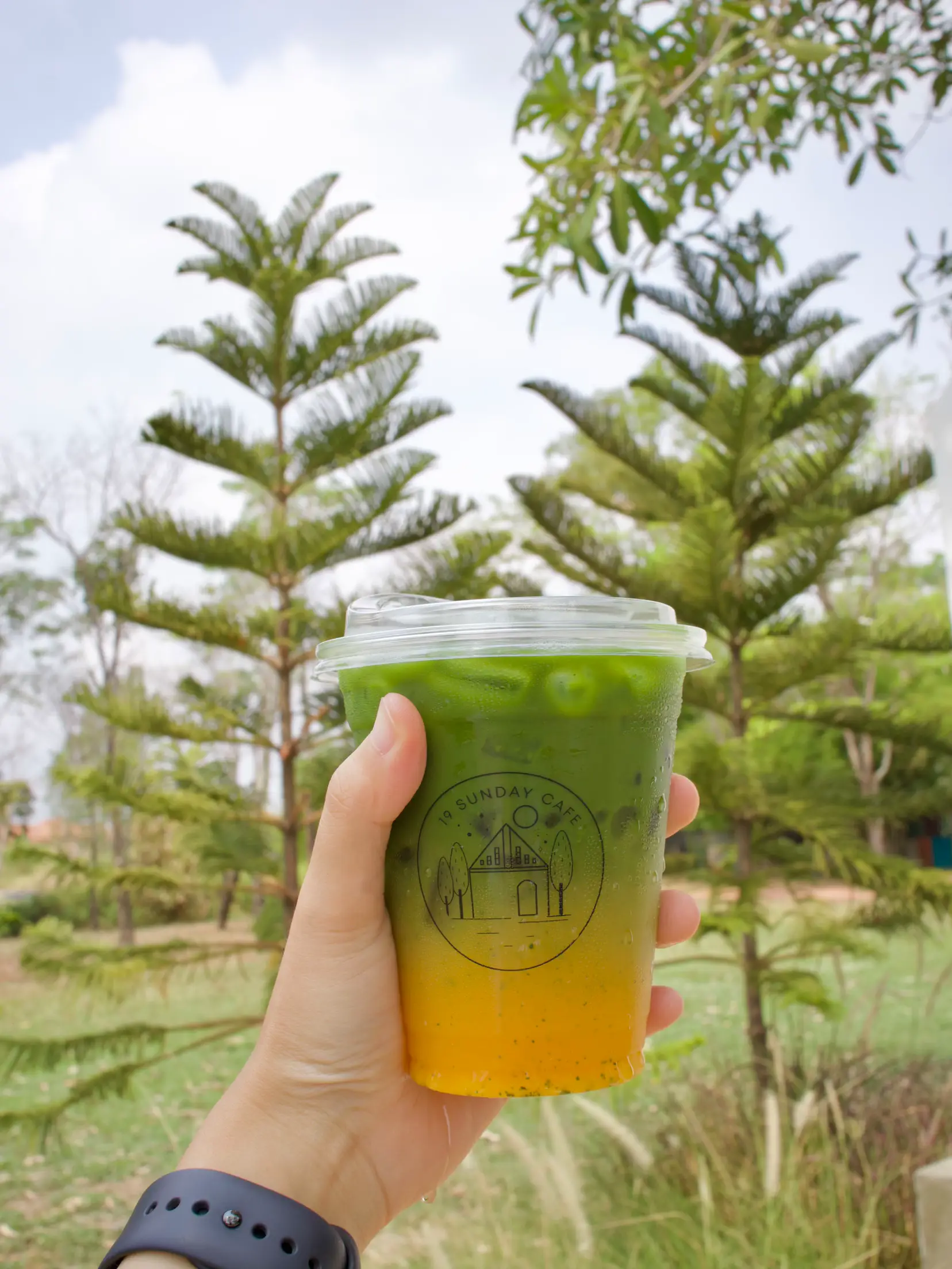 คาเฟ่เปิดใหม่ที่ฉะเชิงเทรา ‘19 Sunday Cafe’ | แกลเลอรีที่โพสต์โดย ...