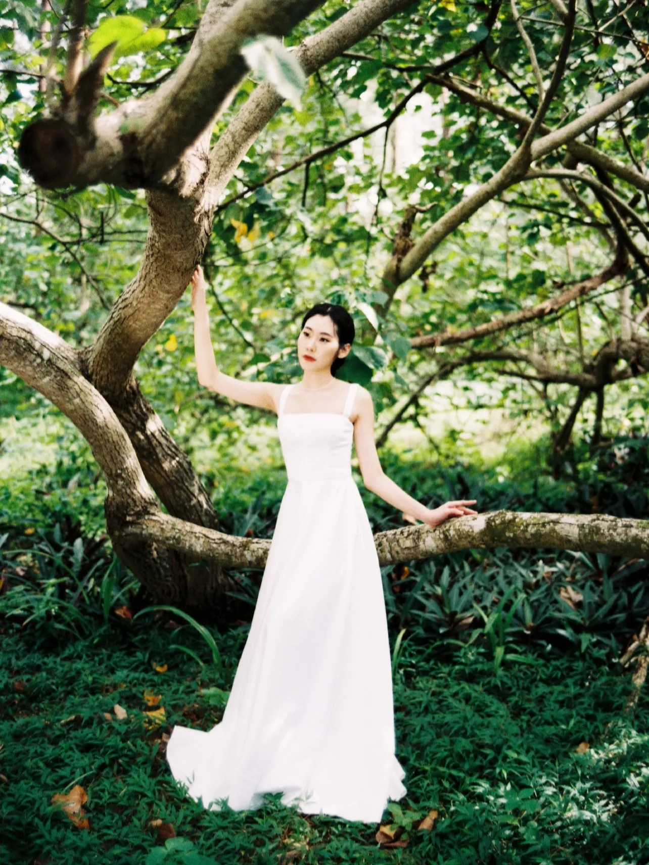 私があえてコンフォートゾーンを出た日、 | shebeen - ชีบีนが投稿したフォトブック | Lemon8