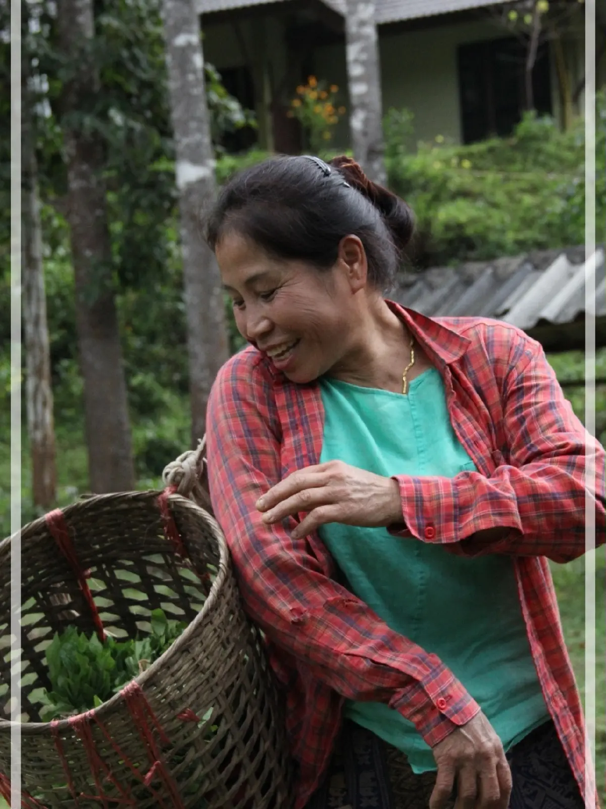 สายผจญภัยที่แม่สายป่าเมี่ยง | แกลเลอรีที่โพสต์โดย wichuda | Lemon8