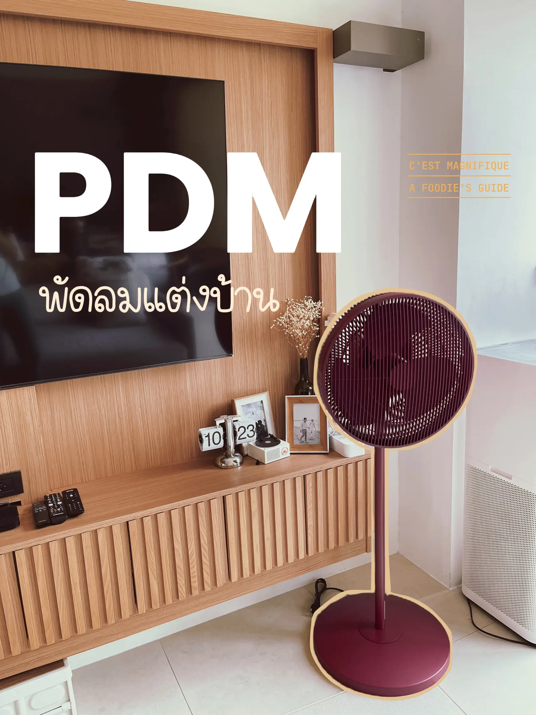 พัดลมแต่งบ้าน สไตล์มินิมอลจาก PDM | แกลเลอรีที่โพสต์โดย standbyploy ...