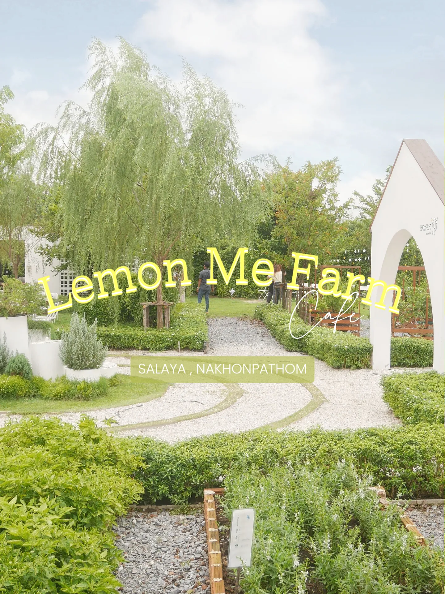 Cafe W/ me #14 - Lemon Me Farm | แกลเลอรีที่โพสต์โดย FPKW_1998 | Lemon8