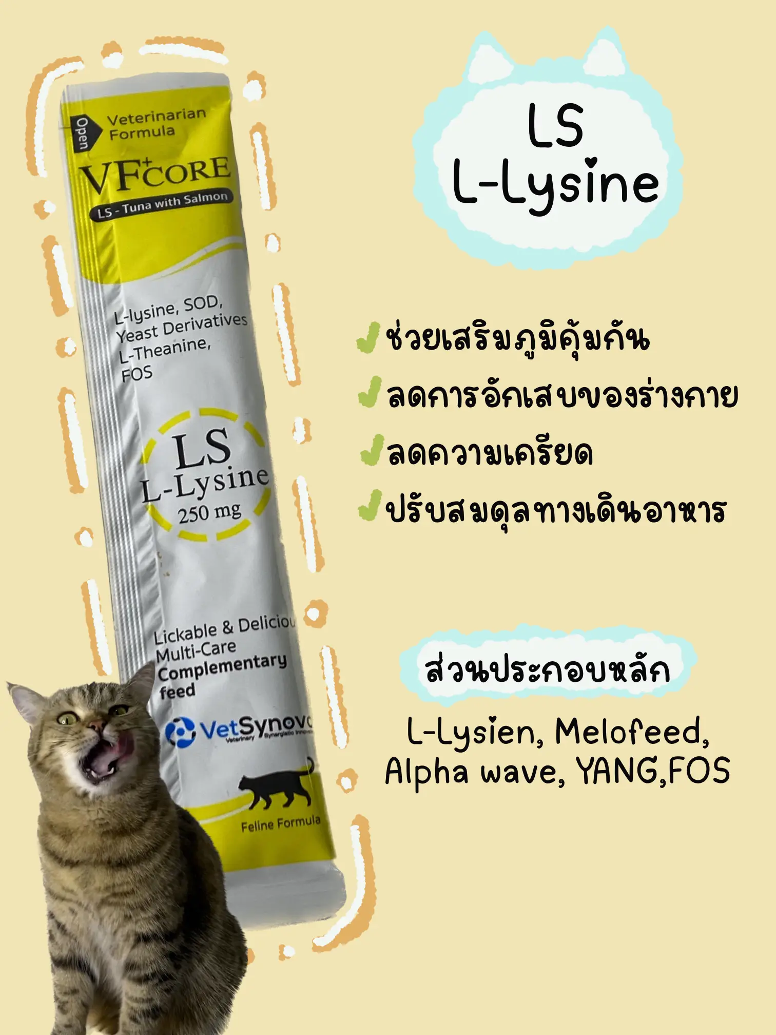 VF+CORE แมวเลียที่เจ้าเหมียวชอบ😻😽🫶🏻 | แกลเลอรีที่โพสต์โดย ᴇᴀʀɴɴ ̈ | Lemon8