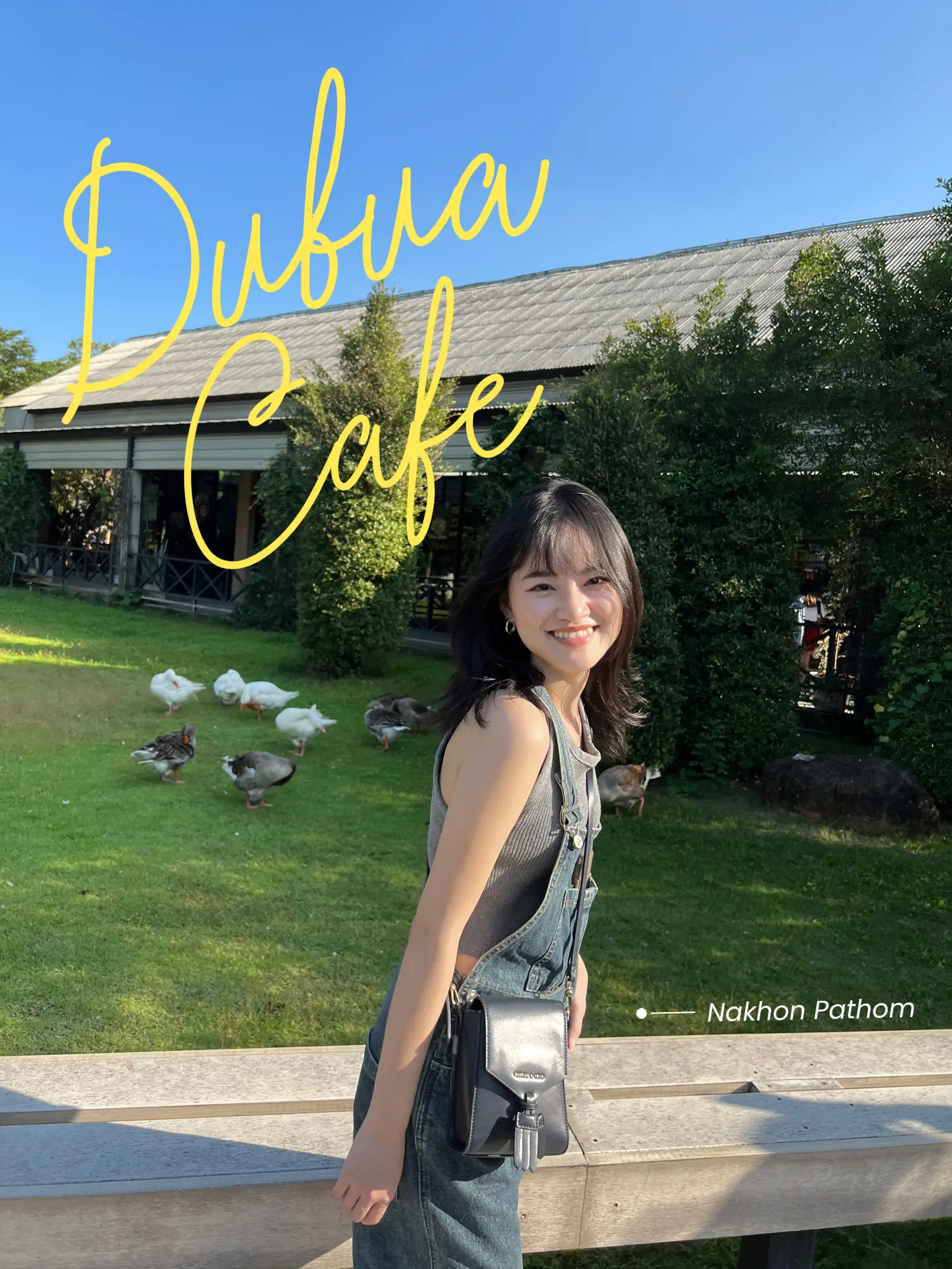 Dubua Cafe to Spin Duck Du Bua at Nakhon Pathom 🐥 | Gallery posted by ozonensr | Lemon8