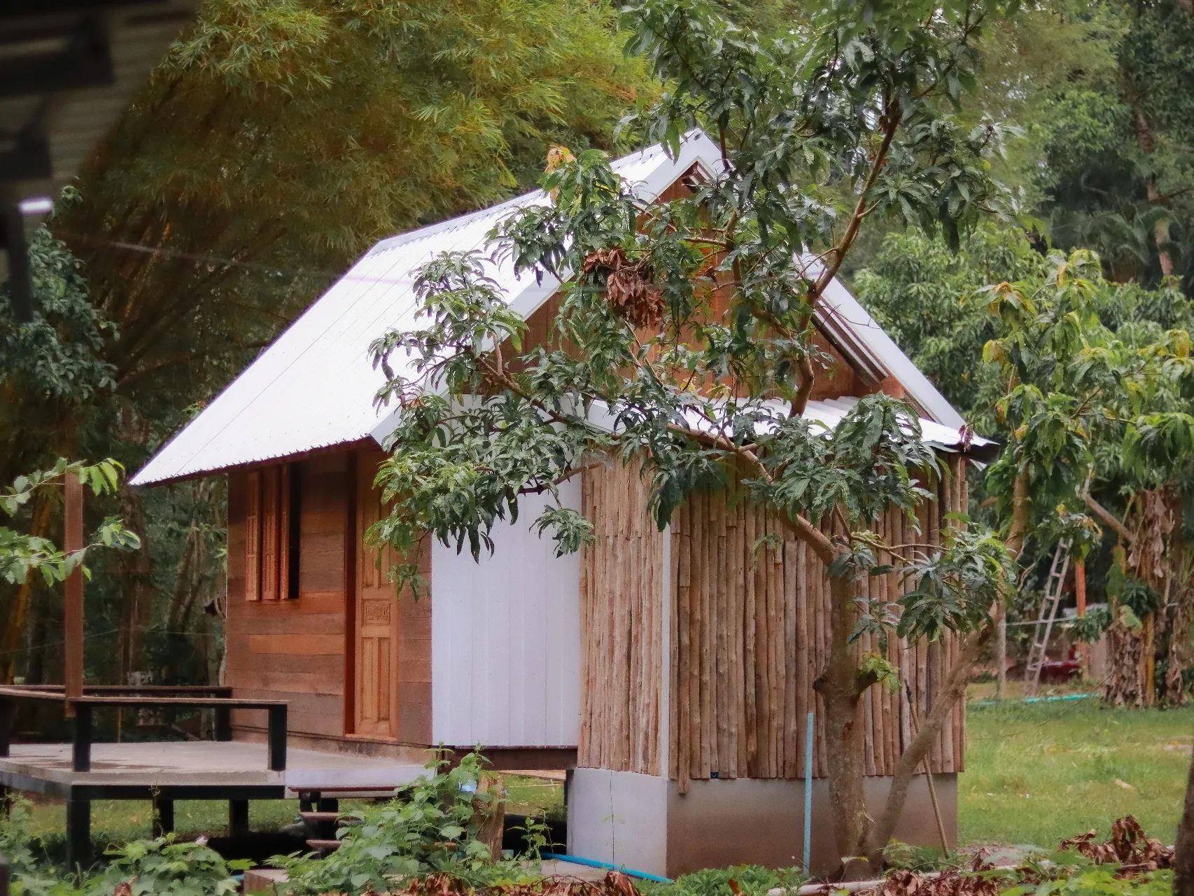 The Nature Camp, a tent on the stream. Ratchaburi | Gallery posted by Pong Patchara | Lemon8