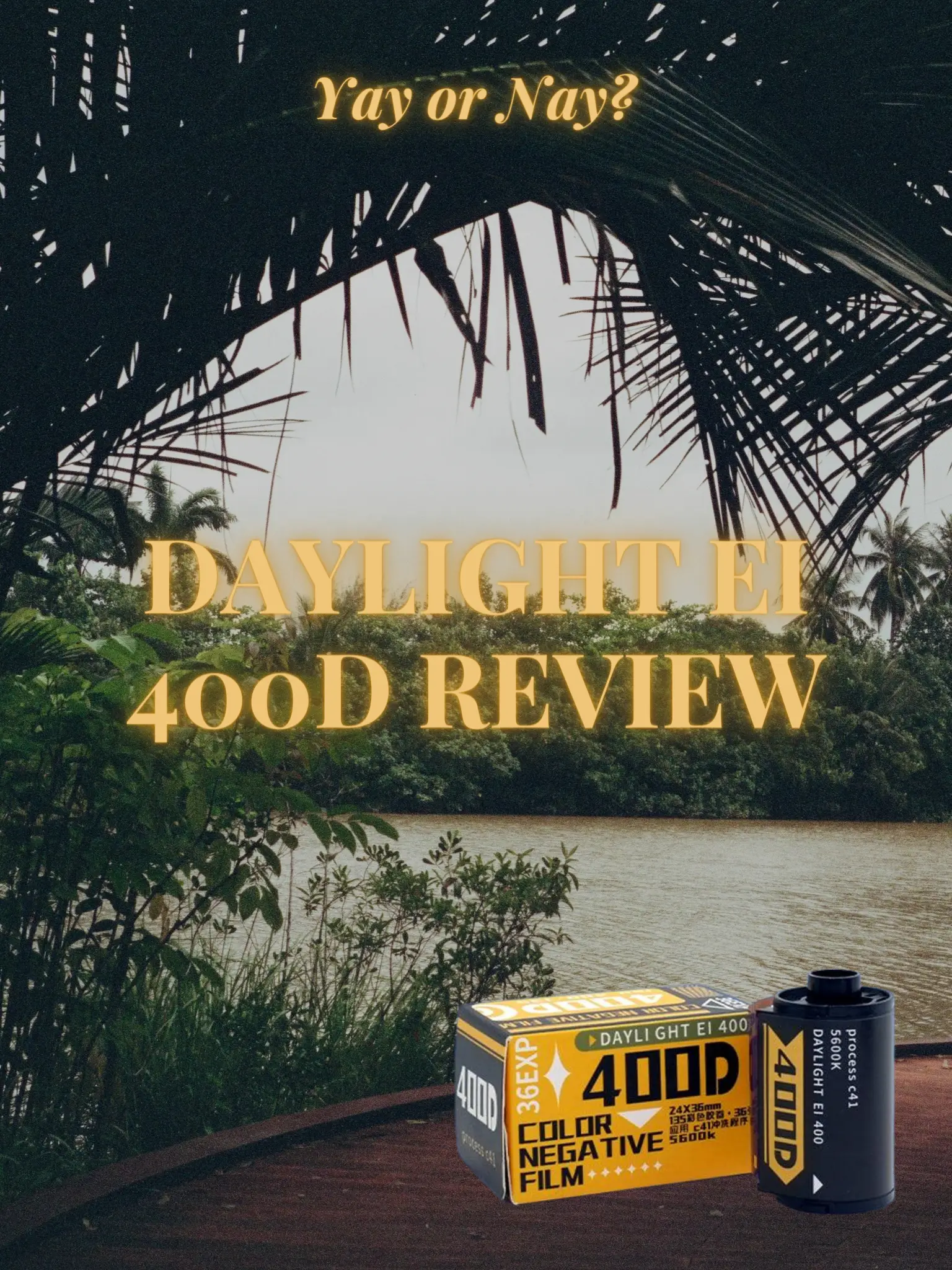 Yay or Nay: A Daylight El 400D Review 🎞️ | Gallery posted by colette🧸 ...