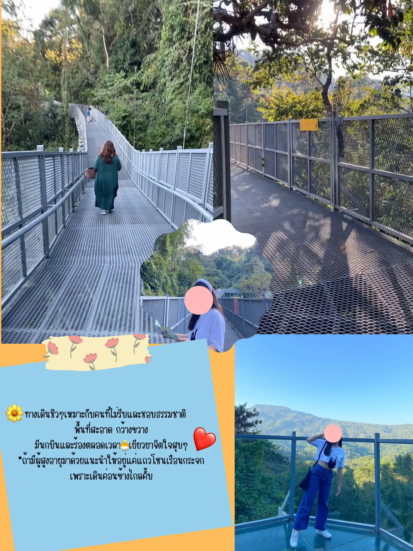 🌷Canopy Walkway🌼 @เชียงใหม่ ที่เที่ยวสายธรรมชาติแวะแชะรูป📸 | แกลเลอรี ...