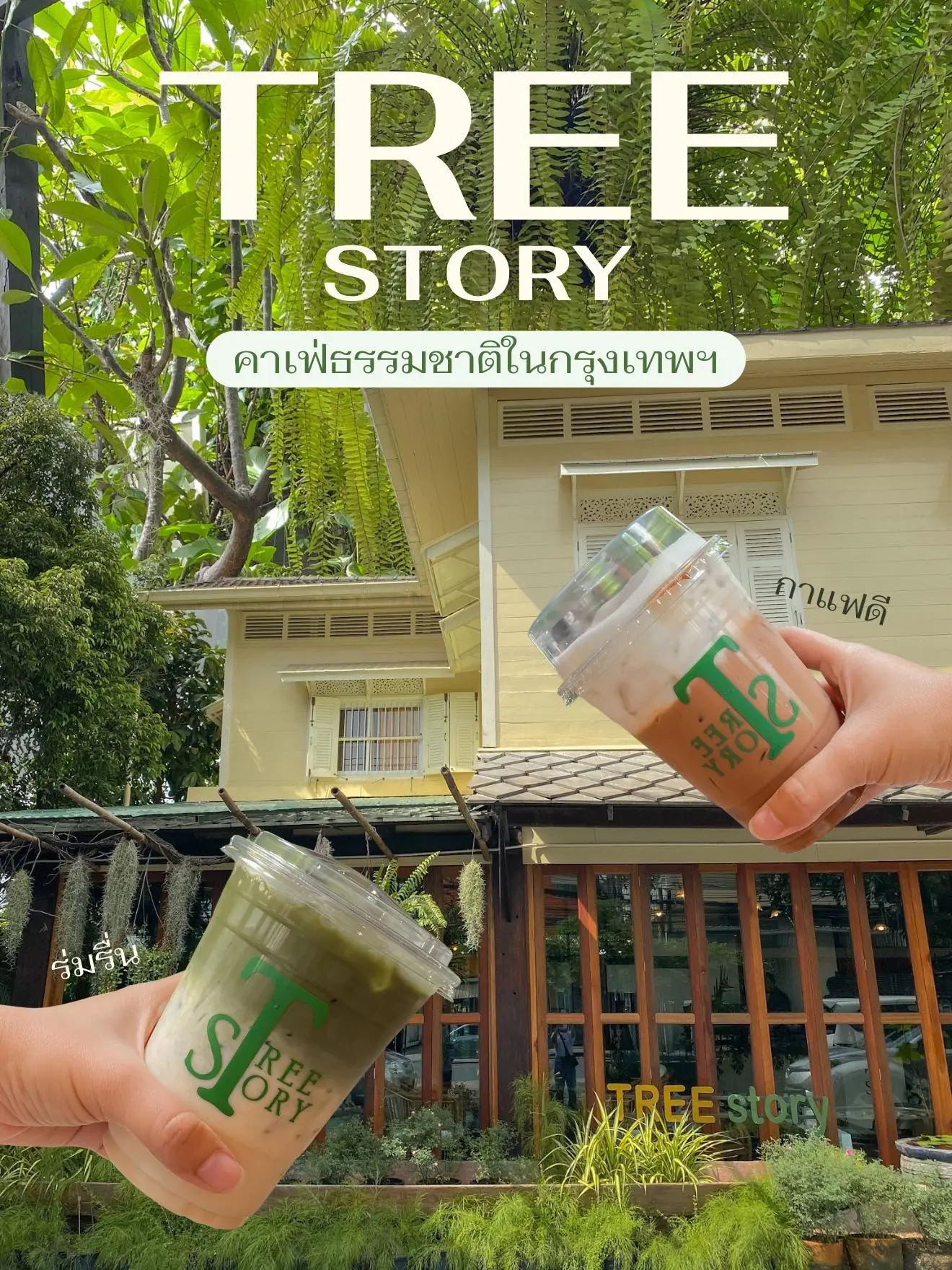 Tree story 🪴 คาเฟ่ธรรมชาติ สไตล์วนิดา วนิใจ | แกลเลอรีที่โพสต์โดย eat ...