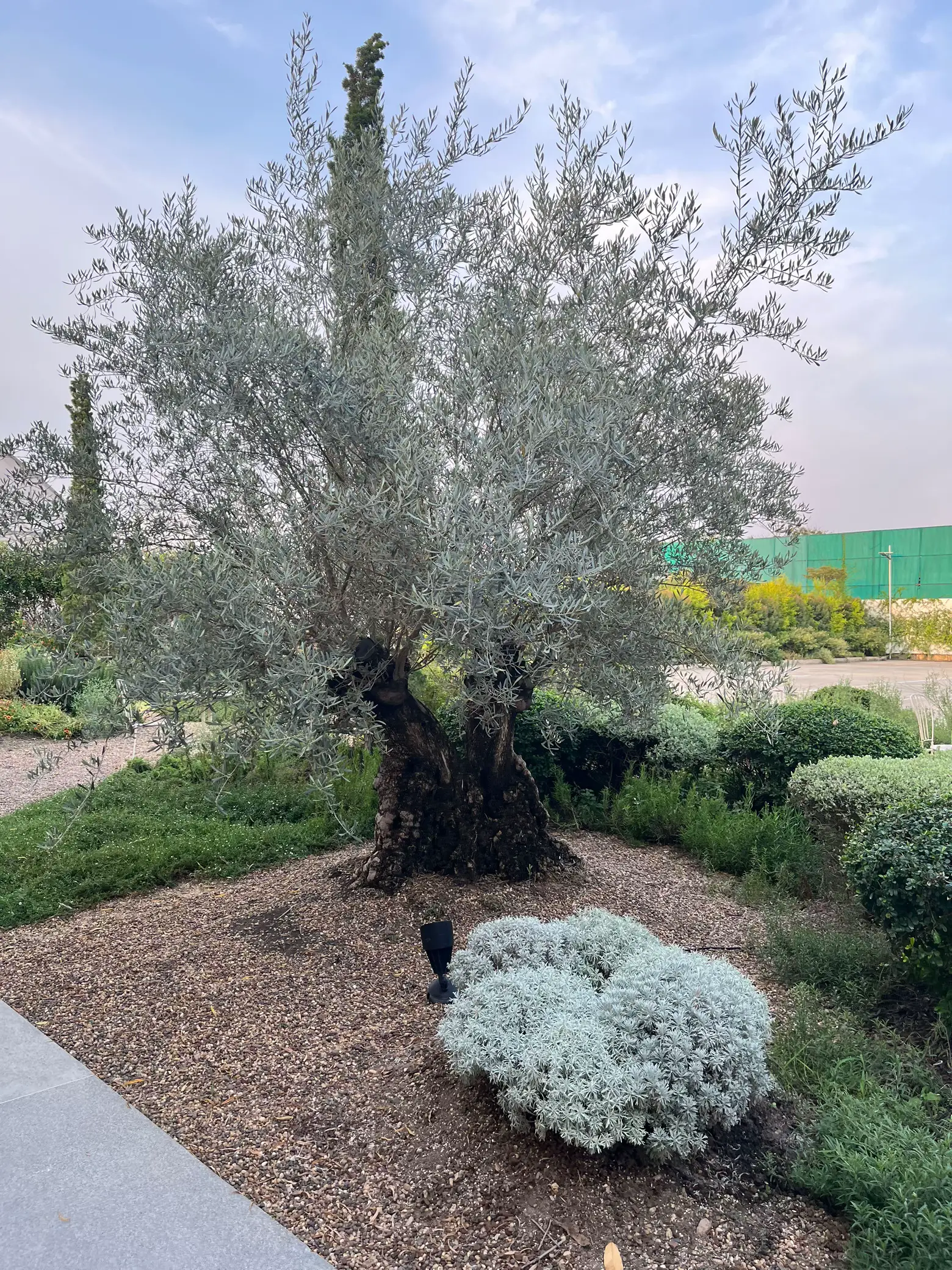 Ganicco Farm Cafe Nonthaburi Cute Every Corner | Gallery posted by aor_story | Lemon8