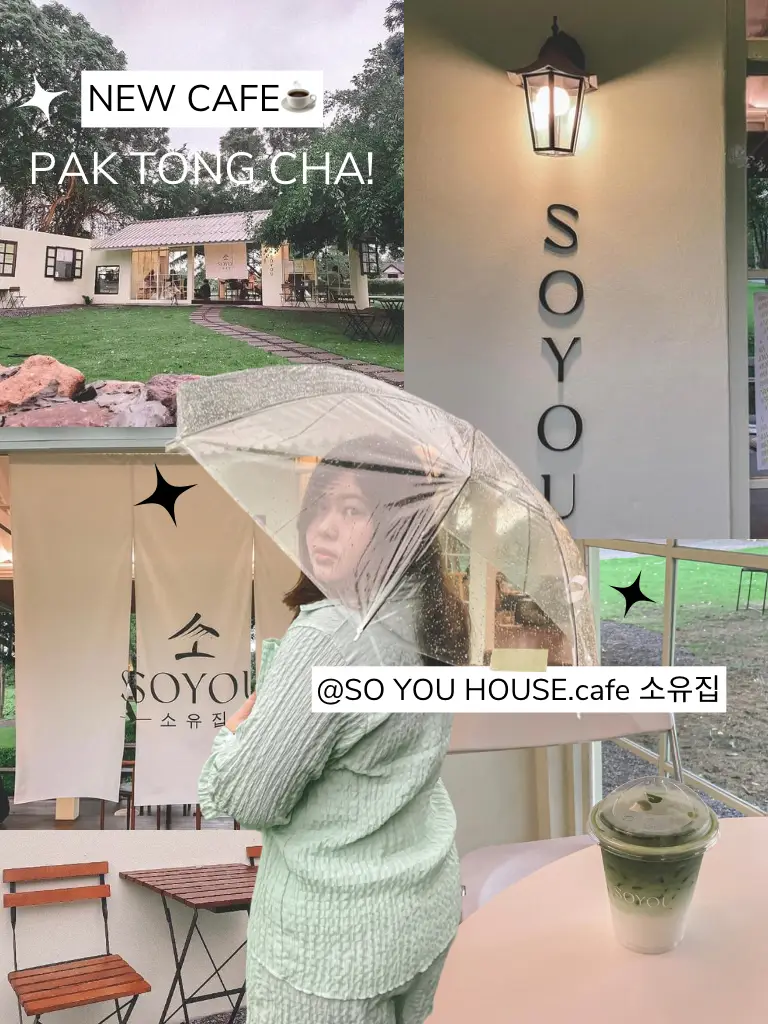 CAFE ꒱ เปิดใหม่ปักธงชัยโคราช เกาหลีเกินปุยมุ้ย🫶🏻 | แกลเลอรีที่โพสต์โดย Looknut story ♡ | Lemon8