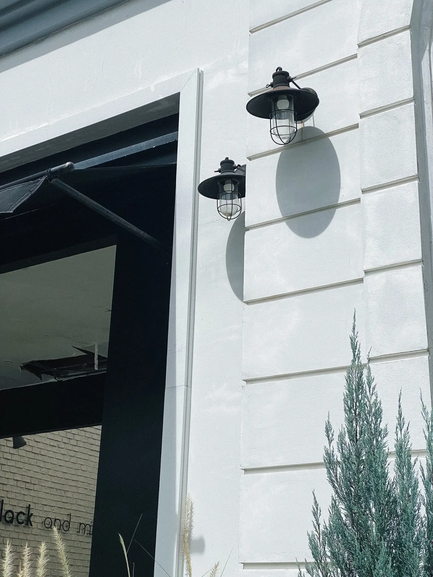 𝔹𝕝𝕒𝕔𝕜 𝕒𝕟𝕕 𝕞𝕚𝕝𝕜 🥛 | แกลเลอรีที่โพสต์โดย Satapron | Lemon8