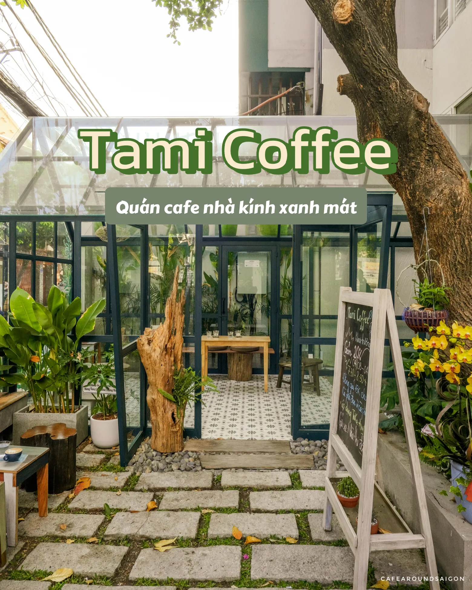 Tami Coffee - Không gian nhà kính xanh mát 🍃 | Bộ sưu tập do Cafe ...