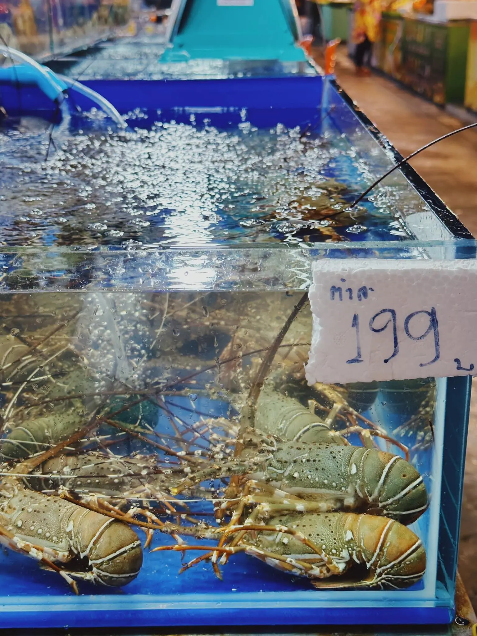 ซาชิมิกุ้งมังกรแค่199฿!! | แกลเลอรีที่โพสต์โดย NW Yokk | Lemon8