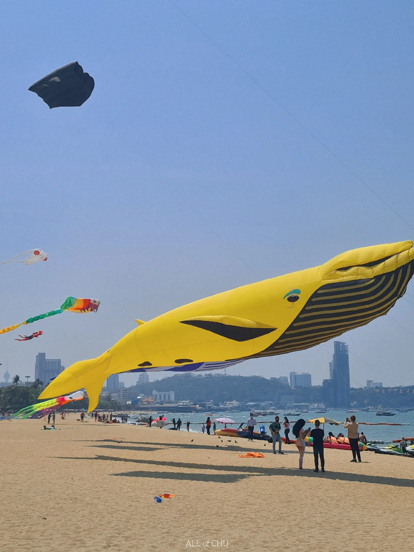 Kite Festival On The Beach 2023 ️☁️ | แกลเลอรีที่โพสต์โดย kie.k24 | Lemon8