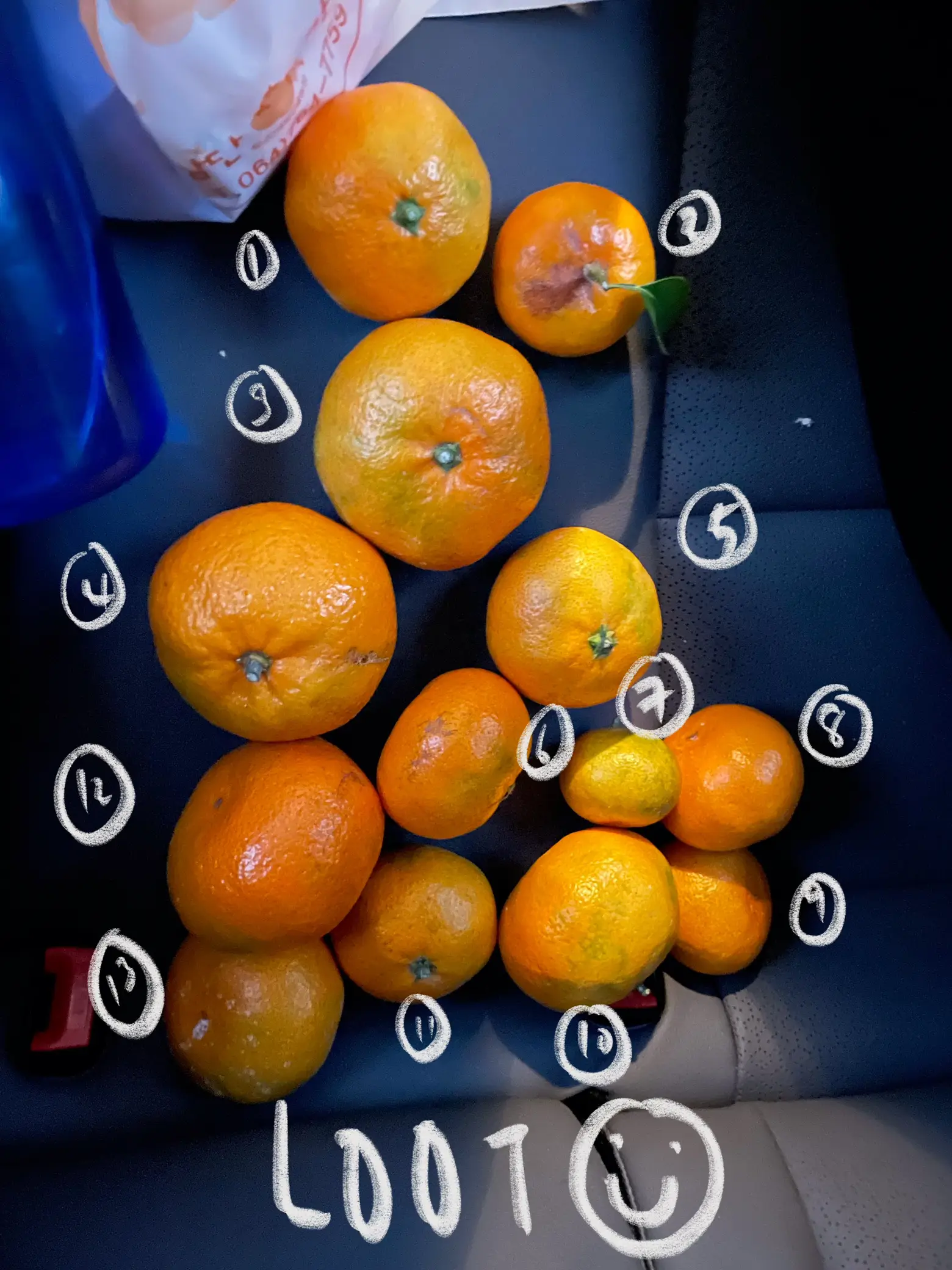 BEFORE ITS TOO LATE: TANGERINE PICKING! 🍊 | Gallery posted by Ethan Chan | Lemon8