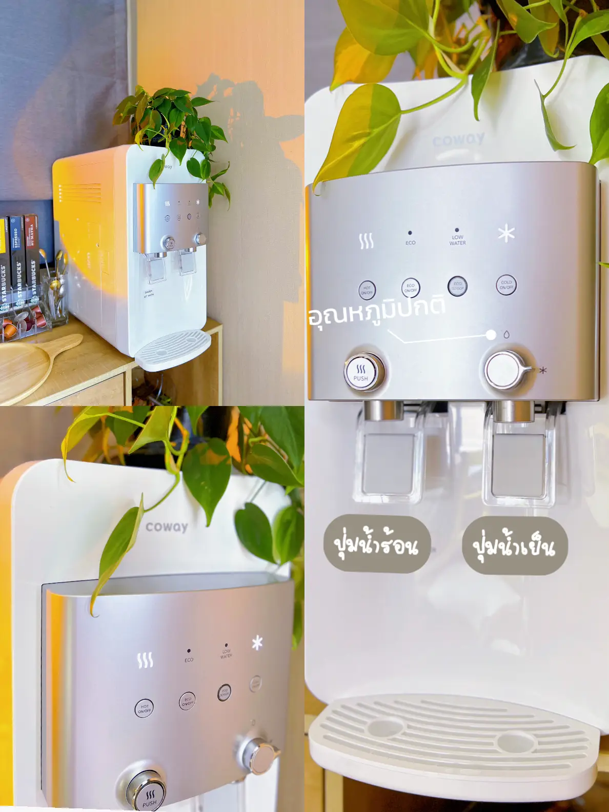 COWAY เครื่องกรองน้ำ ใช้แล้วคุ้มไหม? | แกลเลอรีที่โพสต์โดย ᴘɪᴍꜱᴛᴏʀʏ | Lemon8