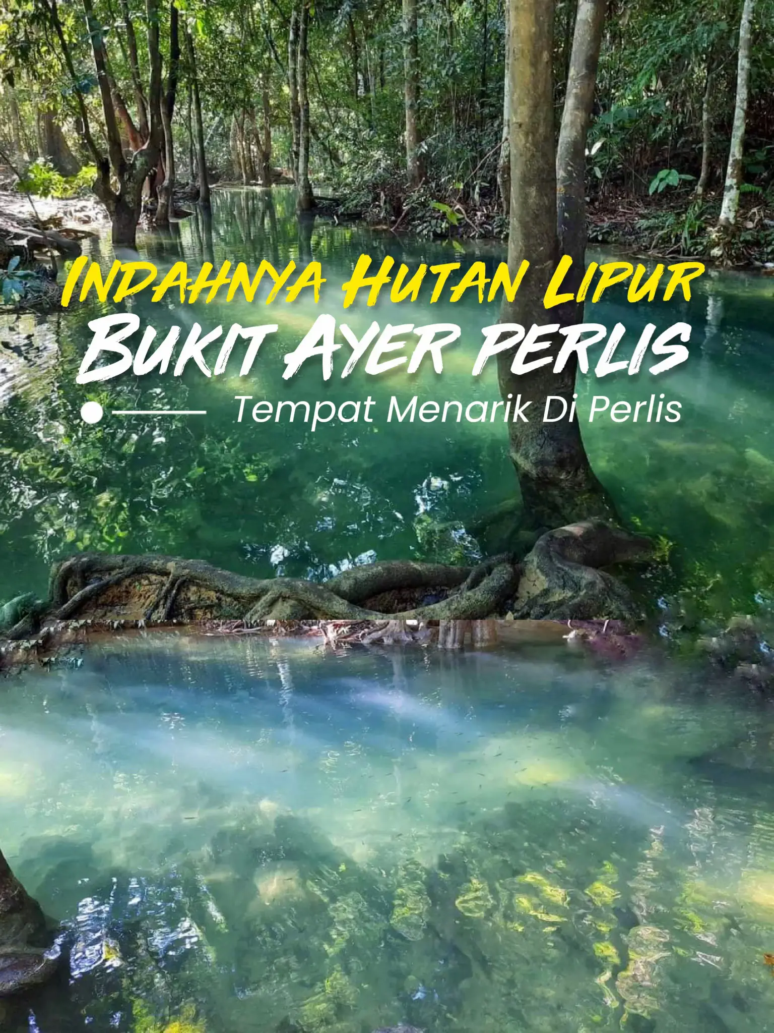 Tempat Menarik Di Perlis - Hutan Lipur Bukit Ayer | แกลเลอรีที่โพสต์โดย ...
