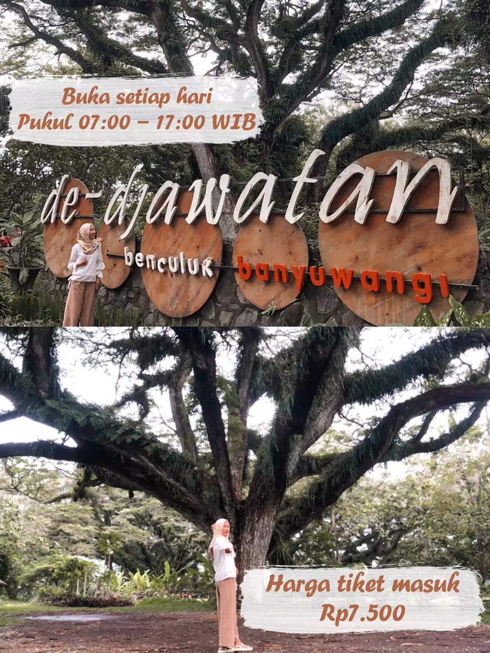 Hutan aesthetic dipusat kota Banyuwangi🌳 | Galeri diposting oleh Diahhh🕊 | Lemon8