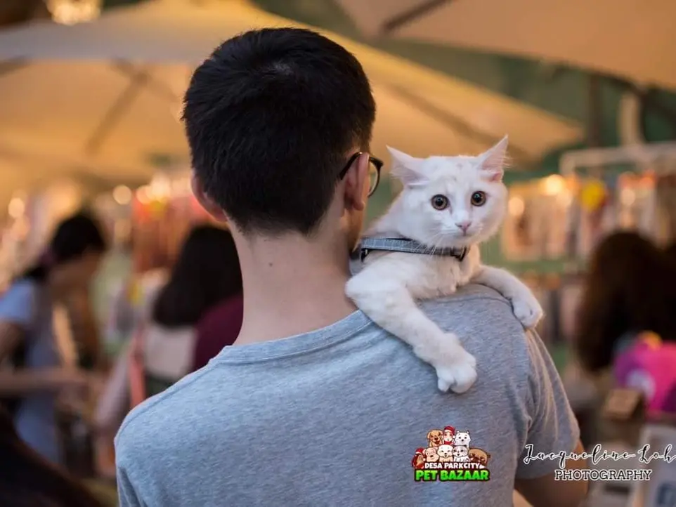 🇲🇾 Pet Bazaar l Create Good Memories with Your Pet | Galeri disiarkan ...