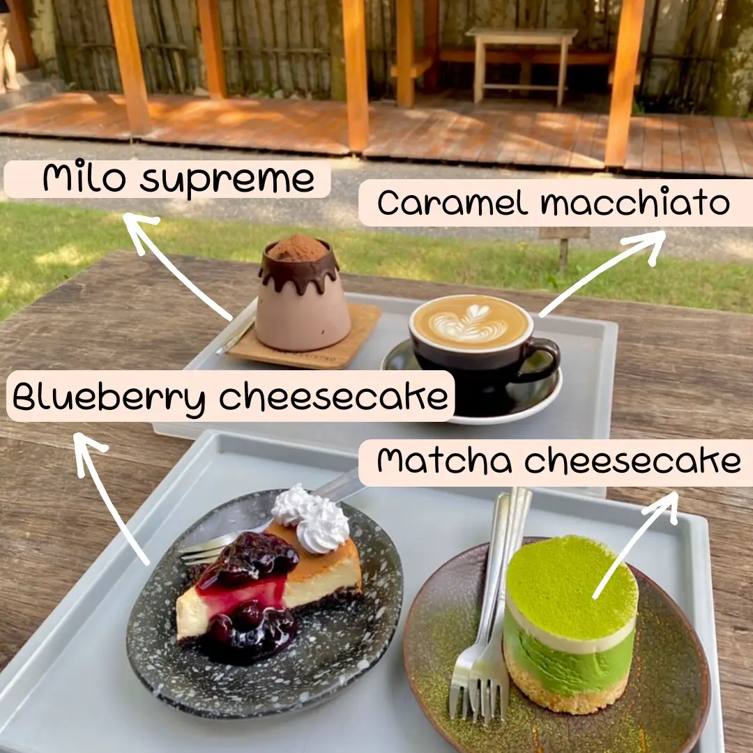 The Baristo Asian Style🍵 คาเฟ่เชียงใหม่สไตล์ญี่ปุ่น🍦 | แกลเลอรีที่โพสต์ ...