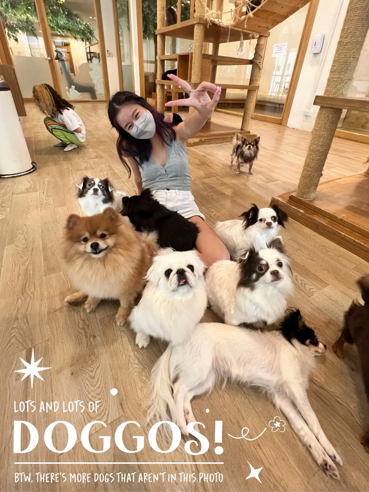 best capybara cafe in Bangkok - Lemon8 Search