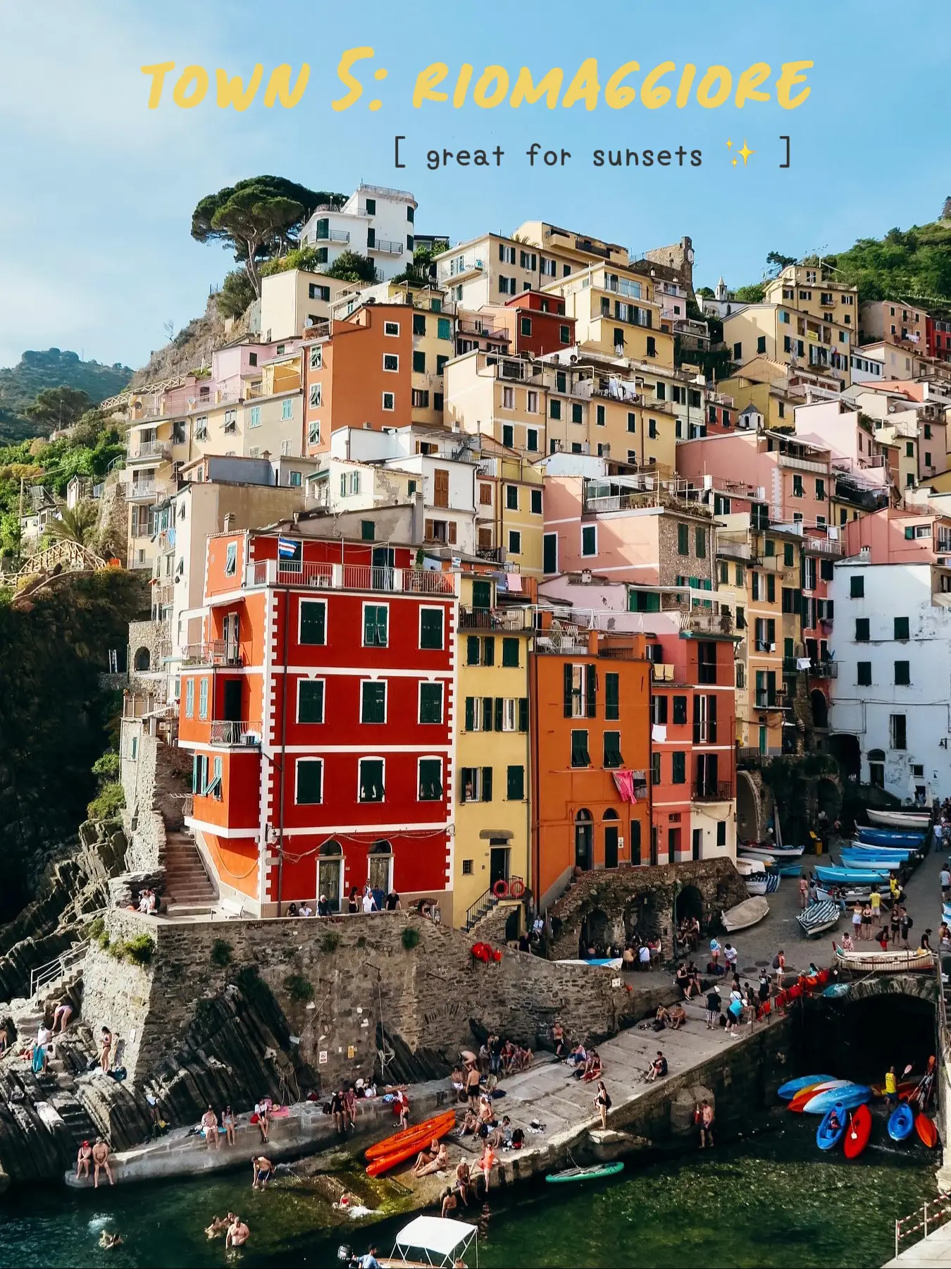 Chalamx - Lemon8 Search