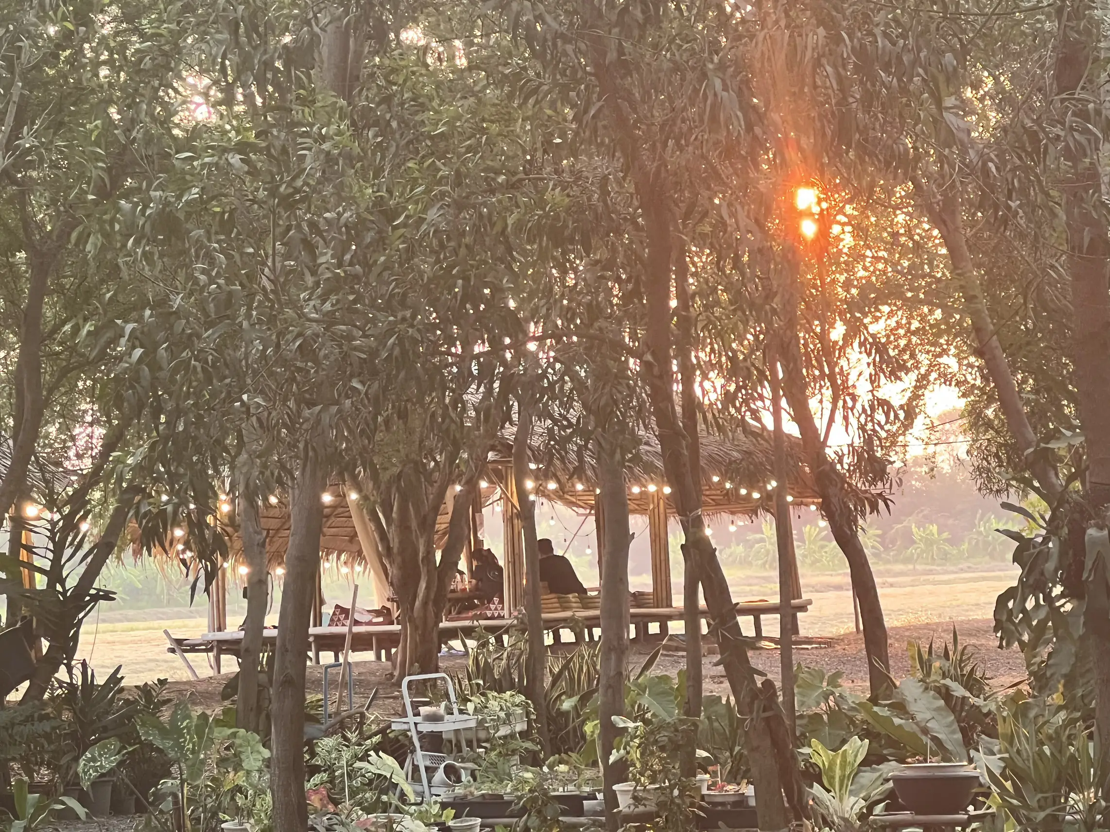 ลาดหลุมแก้ว ปทุมธานี | แกลเลอรีที่โพสต์โดย Phu Ban | Lemon8