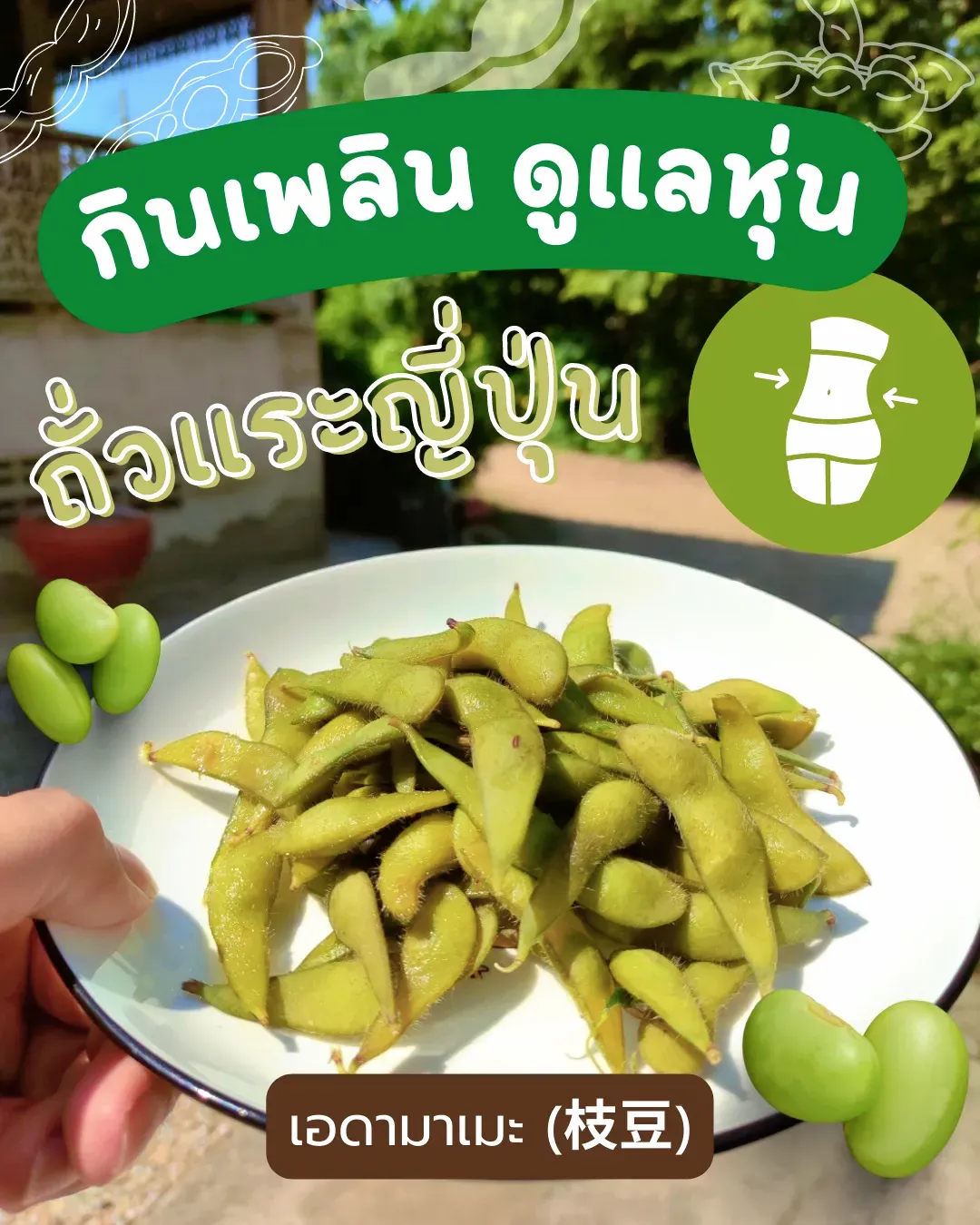 กินเพลินดูแลหุ่น กับถั่วแระญี่ปุ่น 🌱 | แกลเลอรีที่โพสต์โดย Vim ...