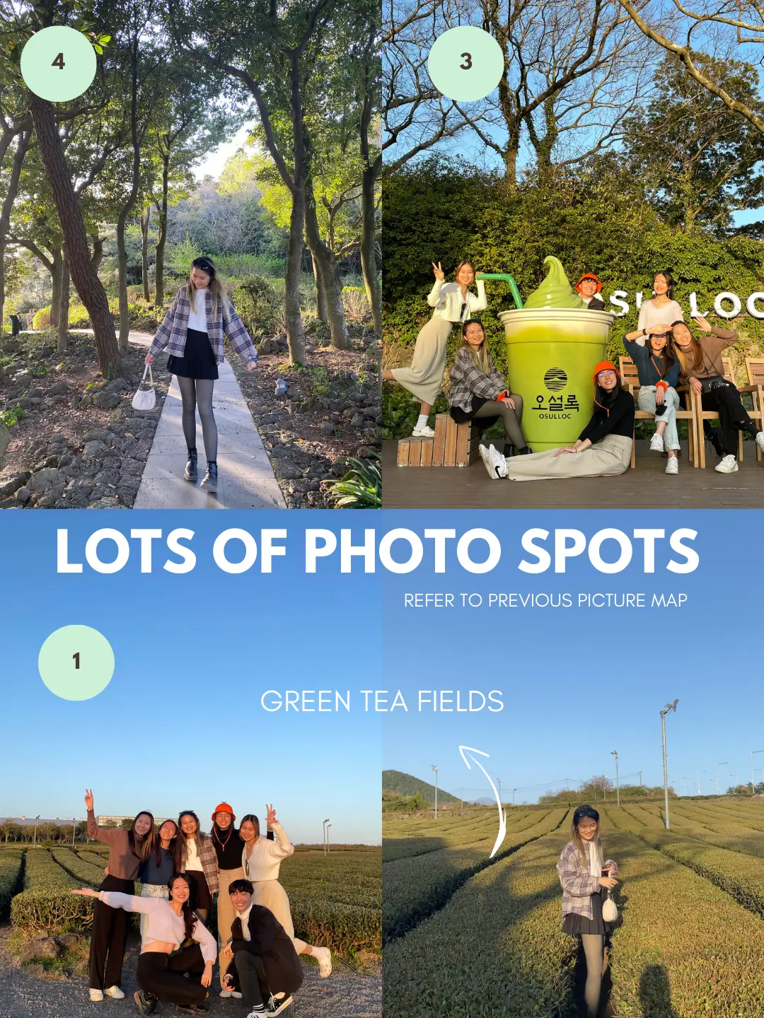 Calling all GREEN TEA lovers! 🍵 | Gallery posted by Sue En | Lemon8