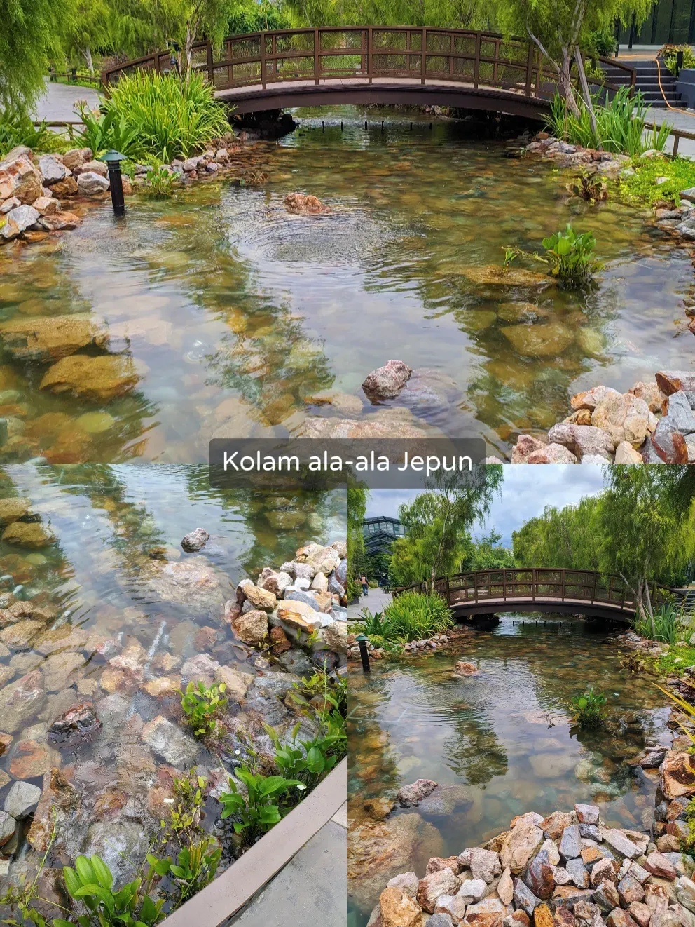 20 idea Botanica Bamboohill teratas pada tahun 2024