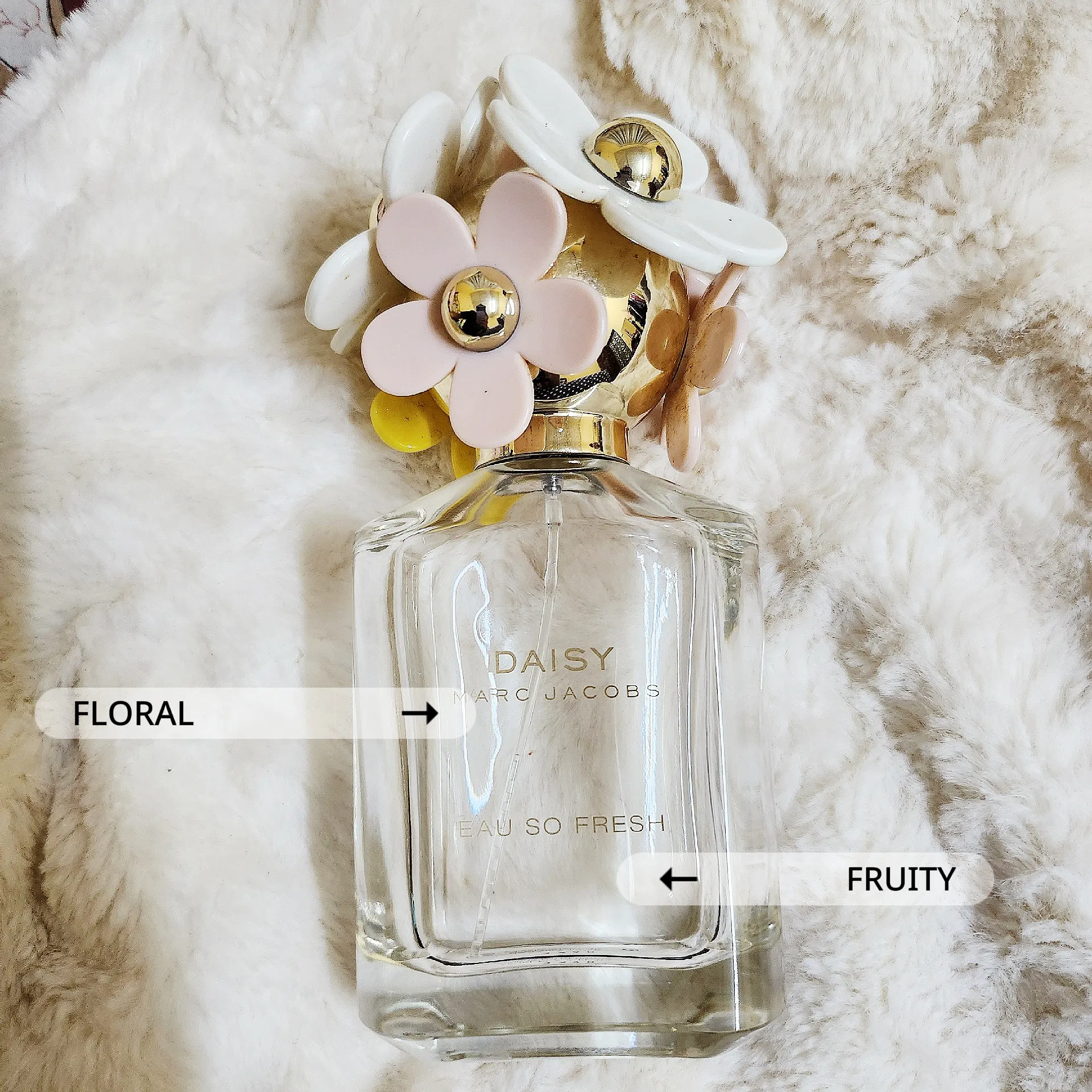 Fragrance review | Galeri disiarkan oleh Areen Aziz | Lemon8
