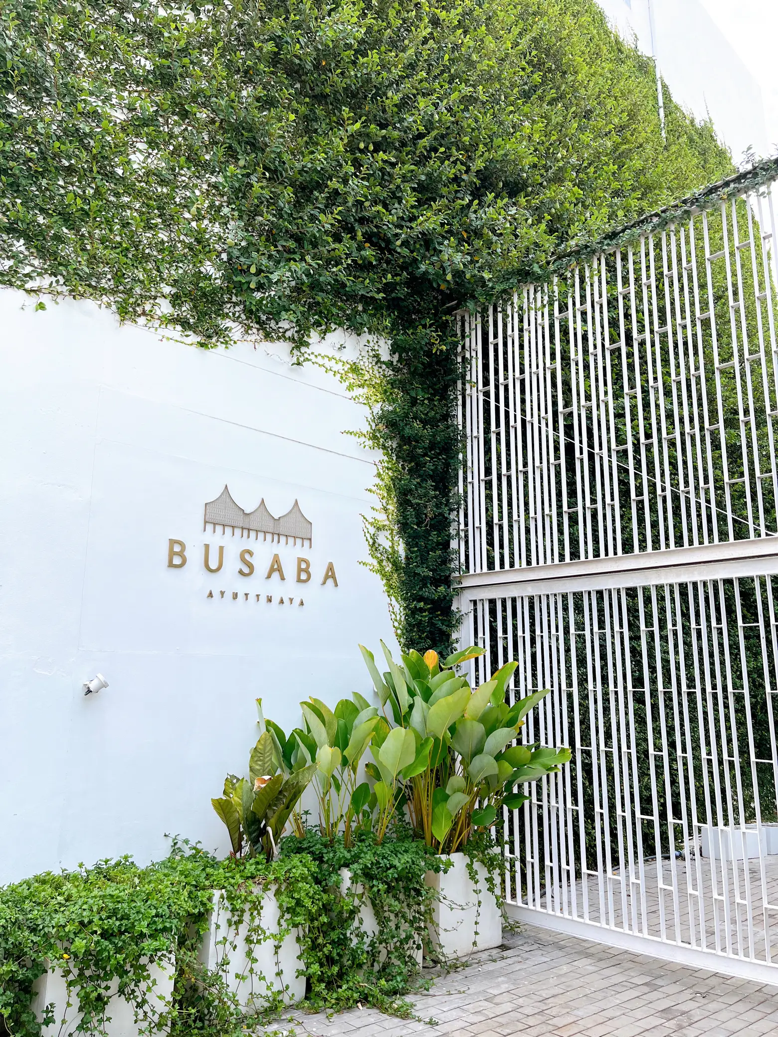 Busaba Cafe & Meal คาเฟ่รูปแบบอยุธยาฟิวชั่น | แกลเลอรีที่โพสต์โดย ...