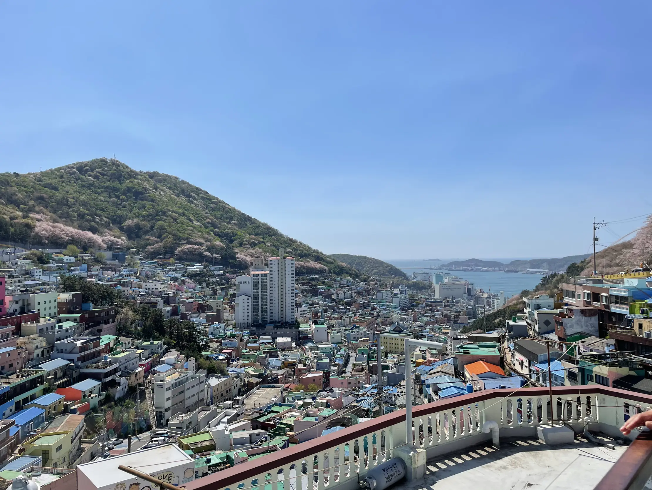 The Little Prince Busan🤴🏻ตามหาเจ้าชายน้อย | แกลเลอรีที่โพสต์โดย Walk ...