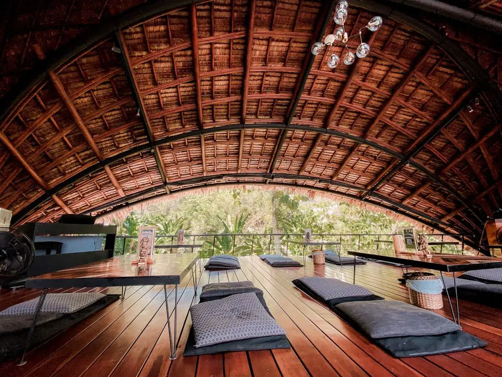 Tree Monkey @ Phuket | แกลเลอรีที่โพสต์โดย Jangjung☀️ | Lemon8