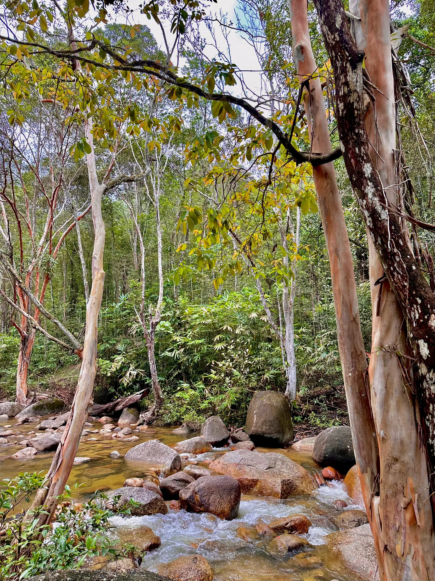 Lata Ulu Chepor,Ipoh Perak | Galeri disiarkan oleh CtSurayaOmar | Lemon8