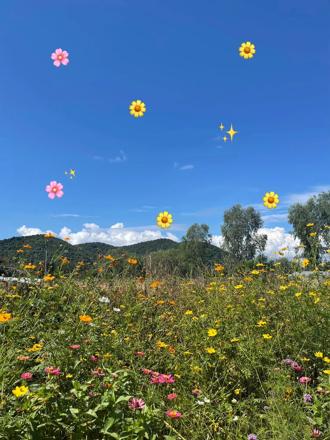 พักผ่อนกายและใจที่ Pranberry Earth | แกลเลอรีที่โพสต์โดย JomJam | Lemon8