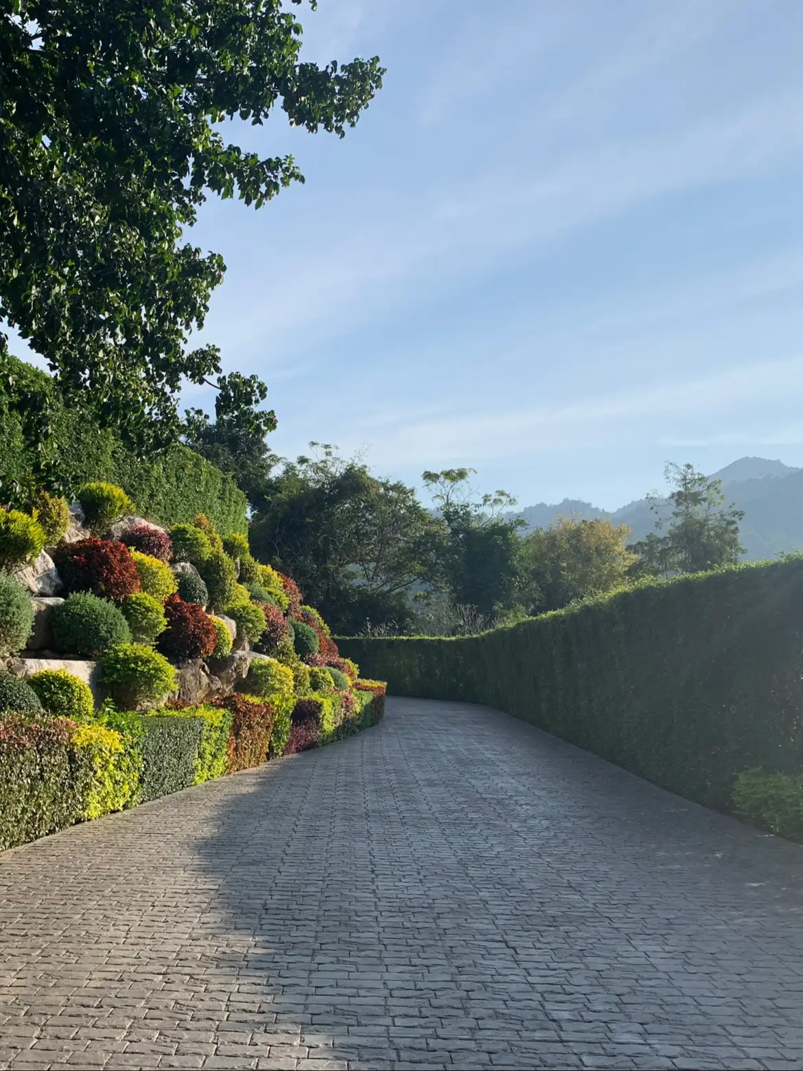 🇹🇭 Lago Di Khao Yai | Gallery posted by Val 💛 | Lemon8