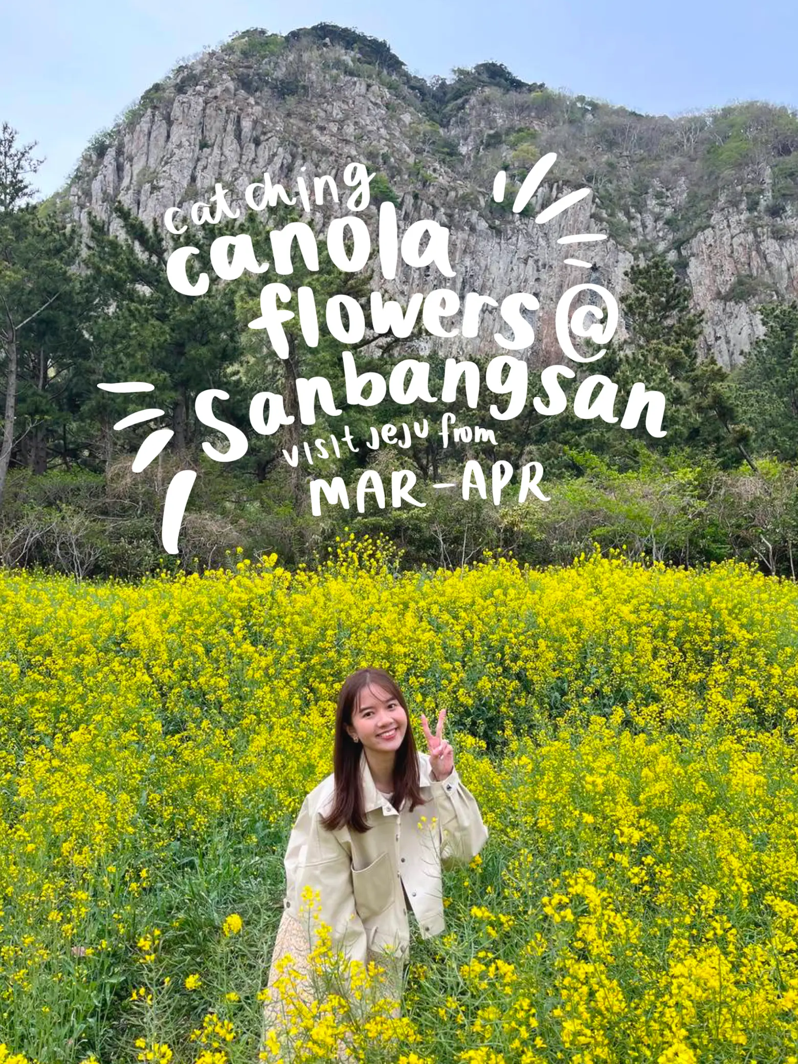 Jeju Spring Guide: Canola Flowers @ Sanbangsan 산방산 | Gallery posted by ...