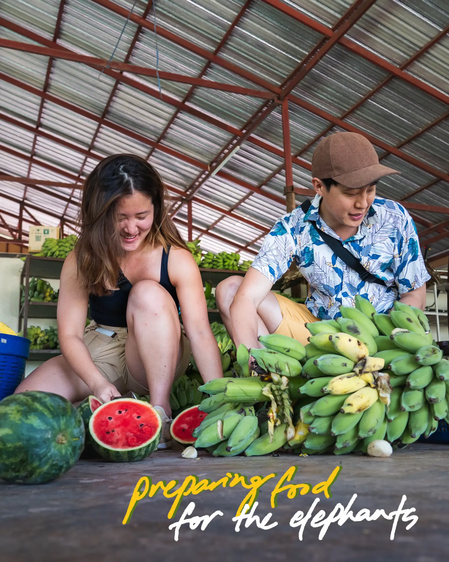 Elephants World — Kanchanaburi, Thailand 🐘 | Gallery posted by thetravelintern | Lemon8