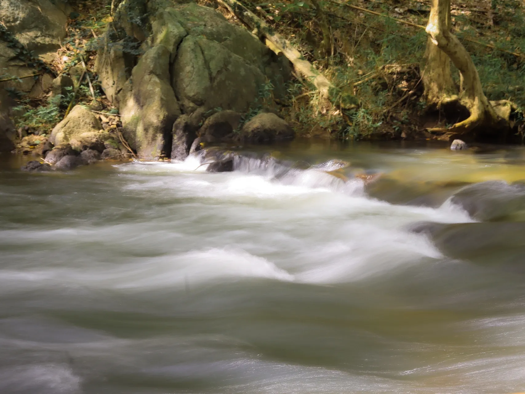 The Nature Camp, a tent on the stream. Ratchaburi | Gallery posted by Pong Patchara | Lemon8