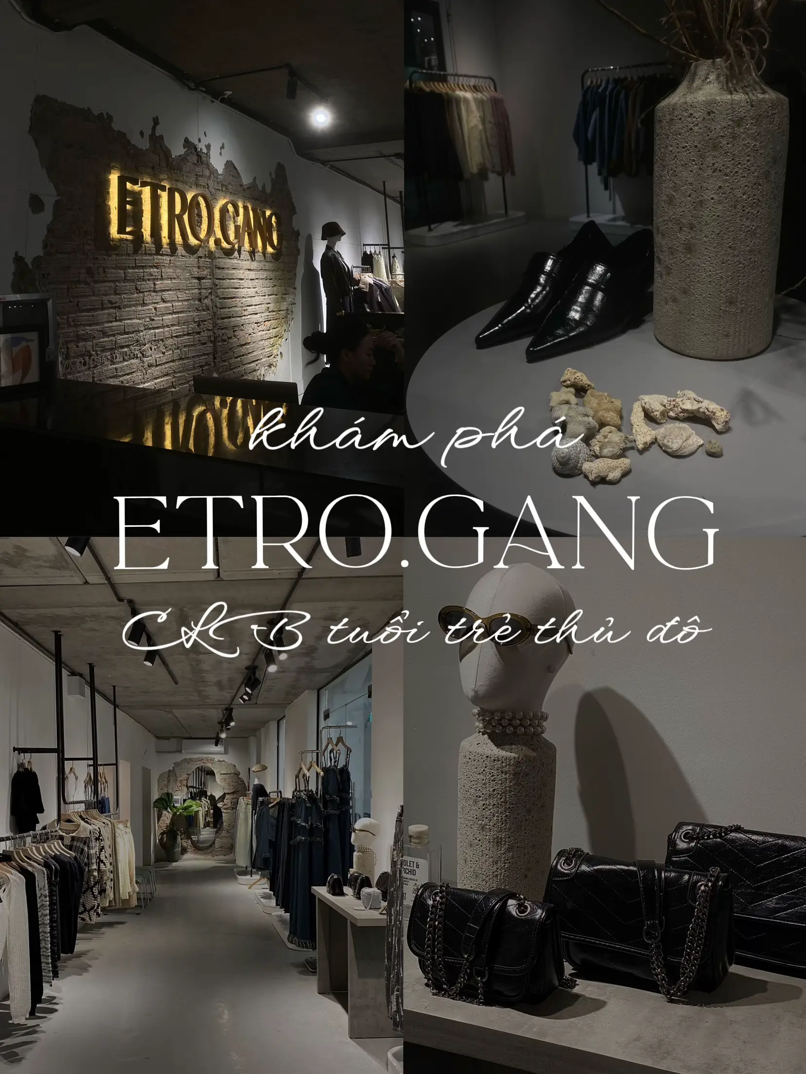 KHÁM PHÁ ETRO.GANG - CLB TUỔI TRẺ THỦ ĐÔ | Bộ sưu tập do Thảo Doll đăng | Lemon8