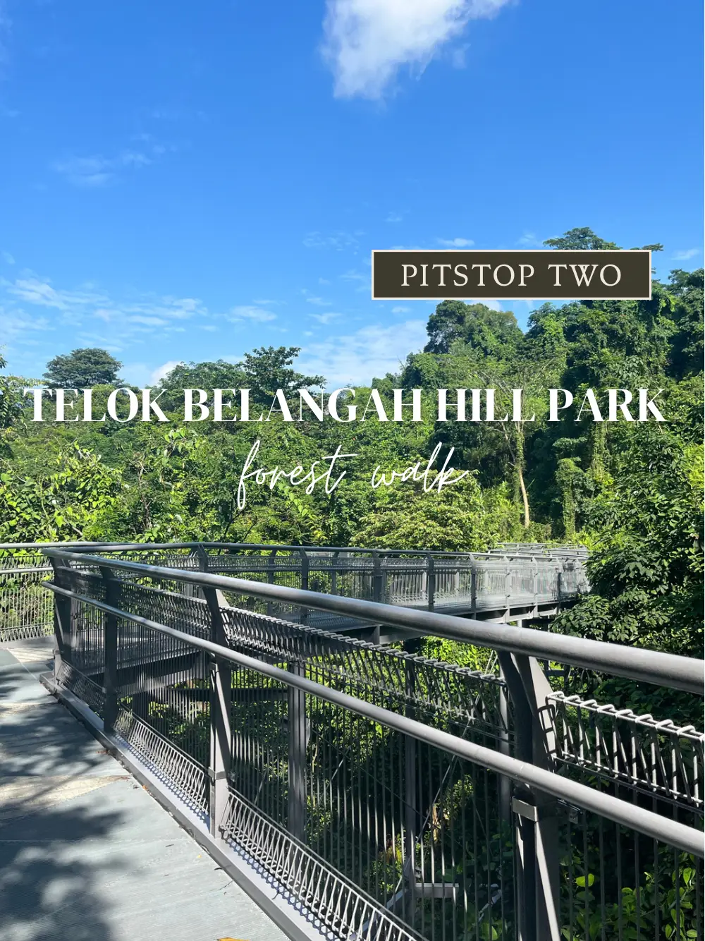 Follow me for a 9km southern ridges hike! | Gallery posted by Phyllis 🤍 ...