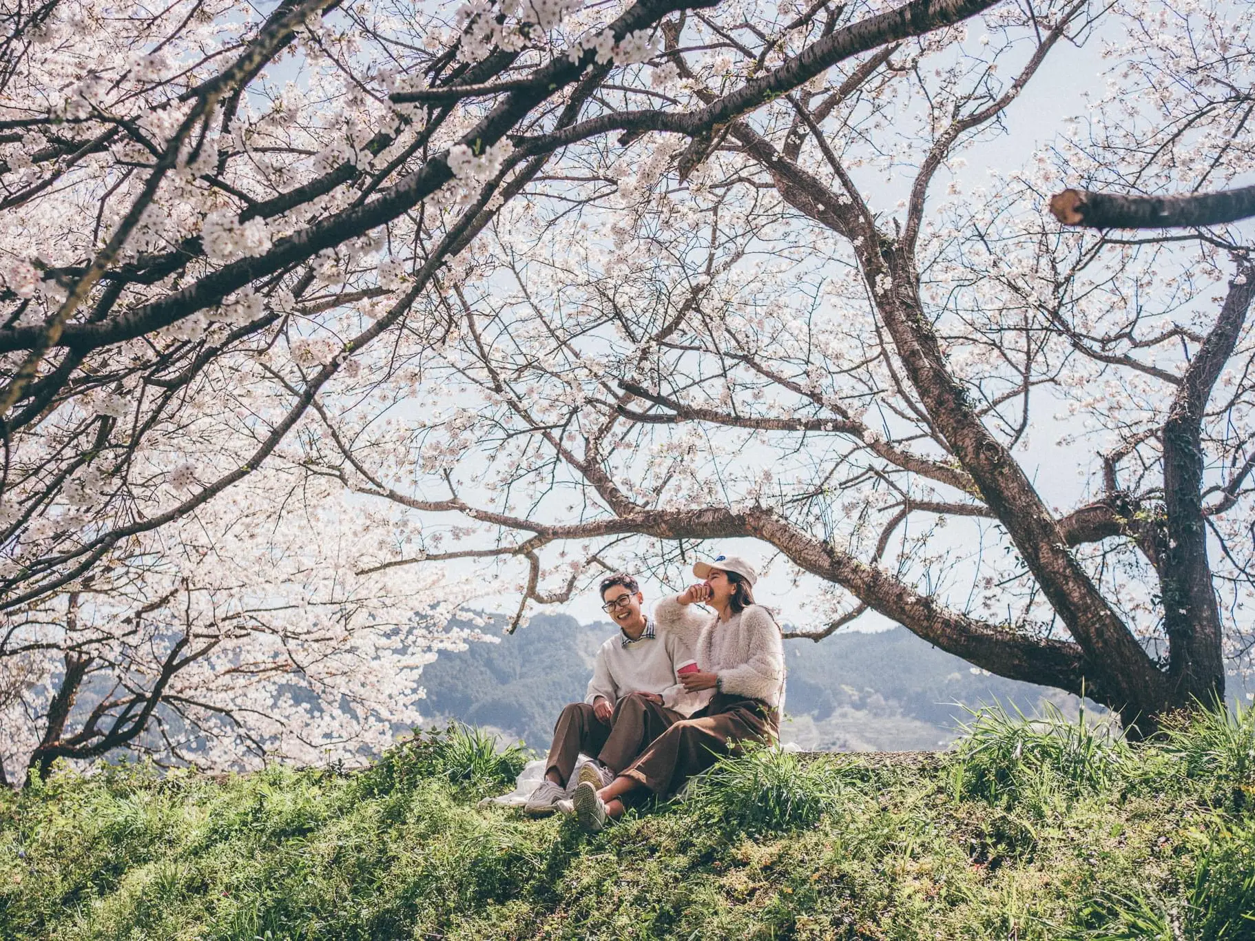 3 พิกัดชมซากุระในฟุกุโอกะที่เราชอบที่สุด🙂 | แกลเลอรีที่โพสต์โดย Whenwewander | Lemon8