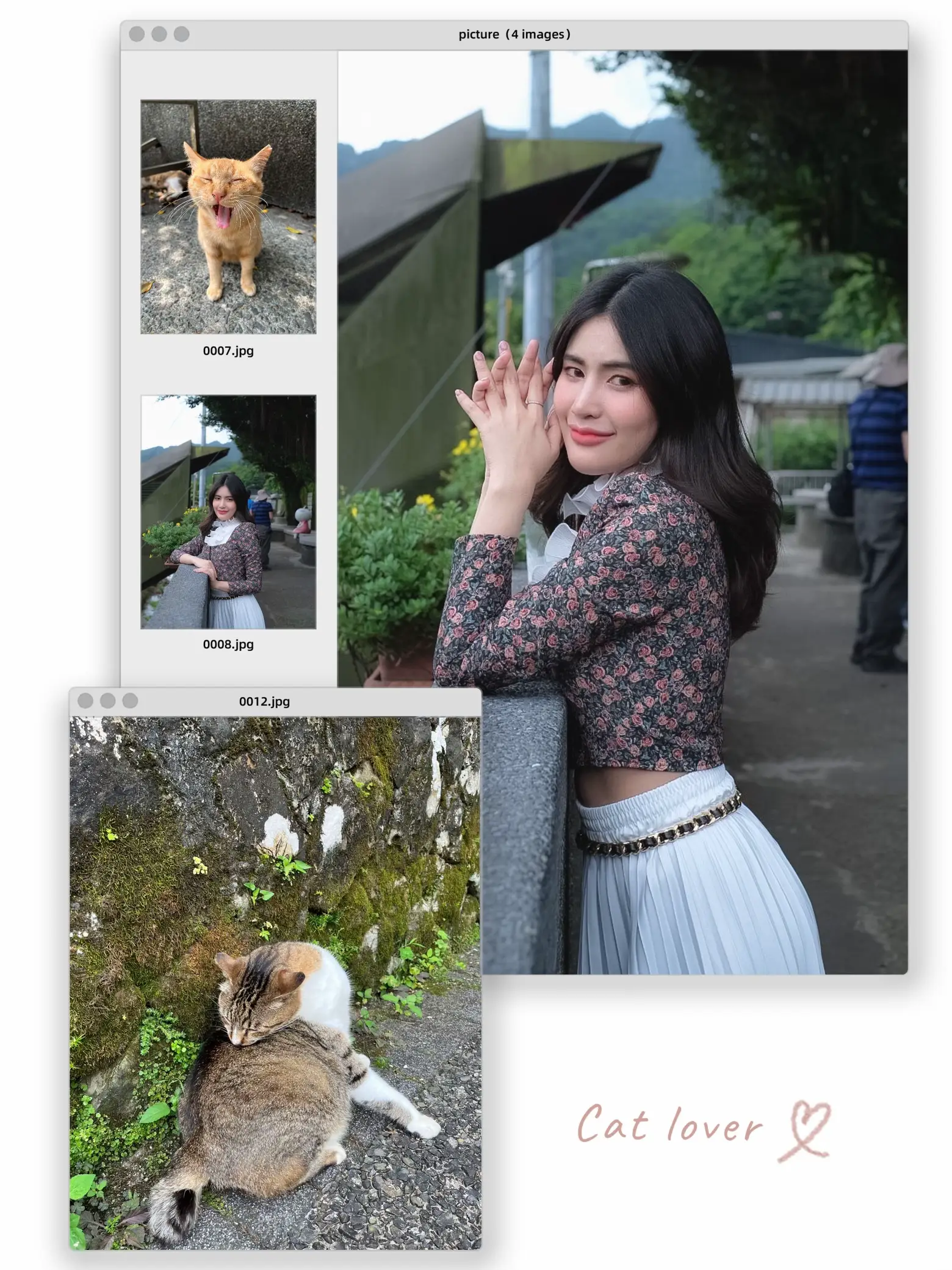 Weareheretaiwan - การค้นหาใน Lemon8