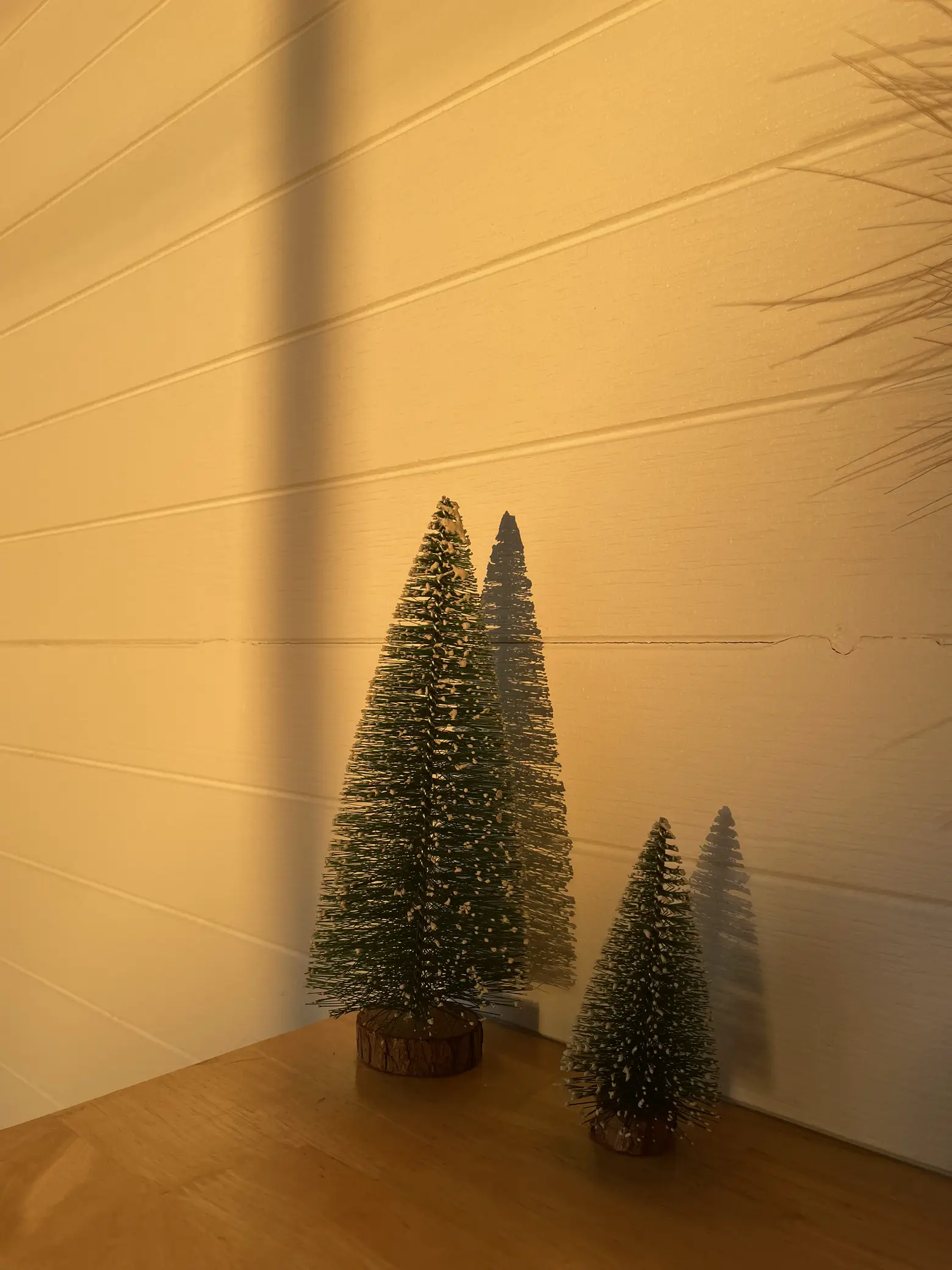 แสงพระอาทิตย์ตกในช่วงฤดูฝน 🌦 | แกลเลอรีที่โพสต์โดย lllkkk | Lemon8