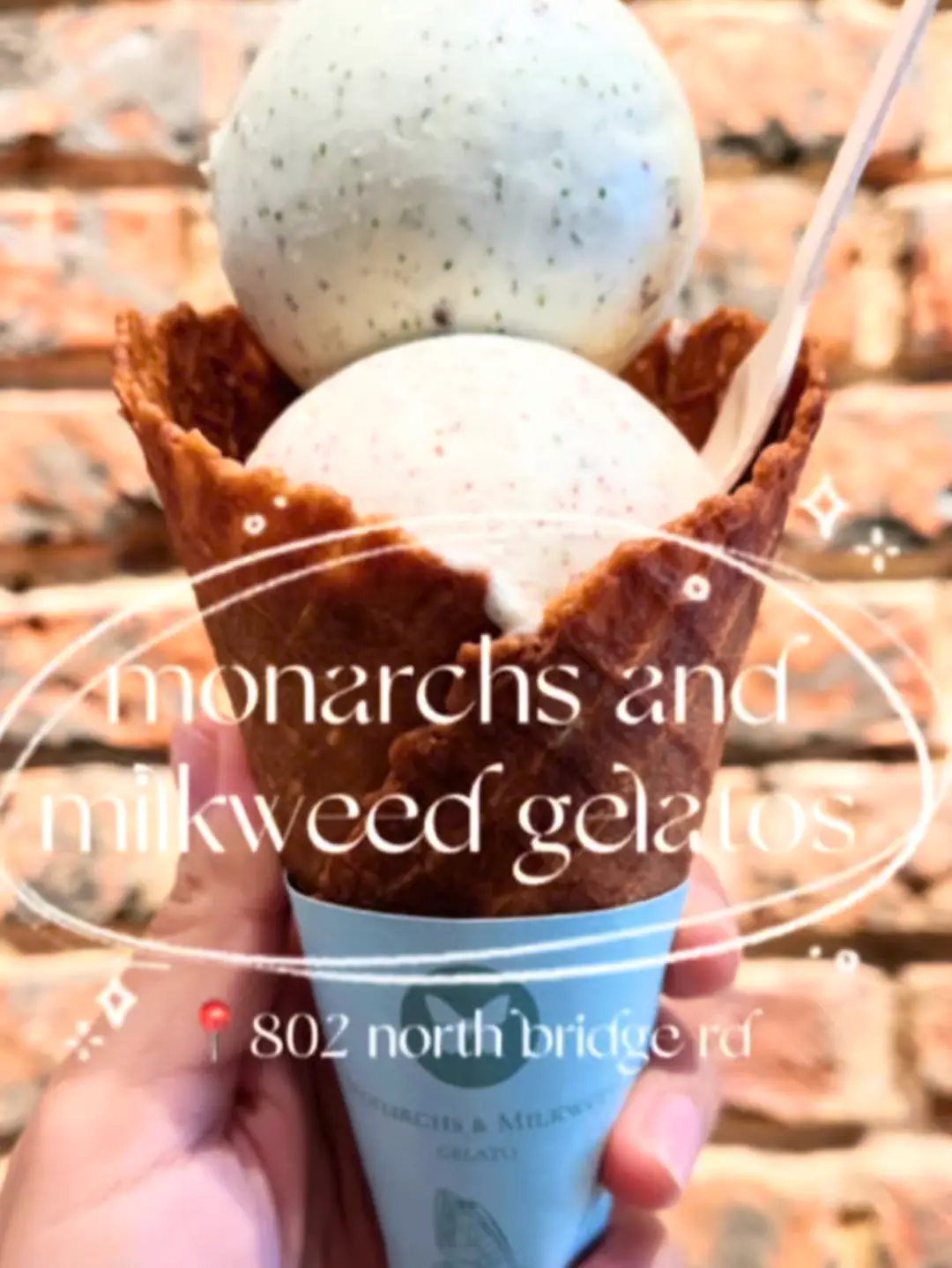 an underrated gelato place - monarchs & milkweed 🦋 | Video published by ...