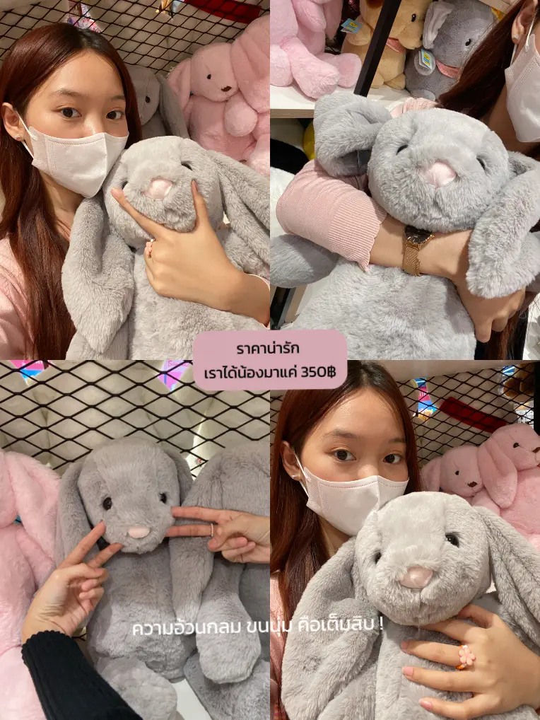 พิกัด bunny doll แฝด jelly cat 🐰🛼🧸 | แกลเลอรีที่โพสต์โดย Bamsu ♡ | Lemon8