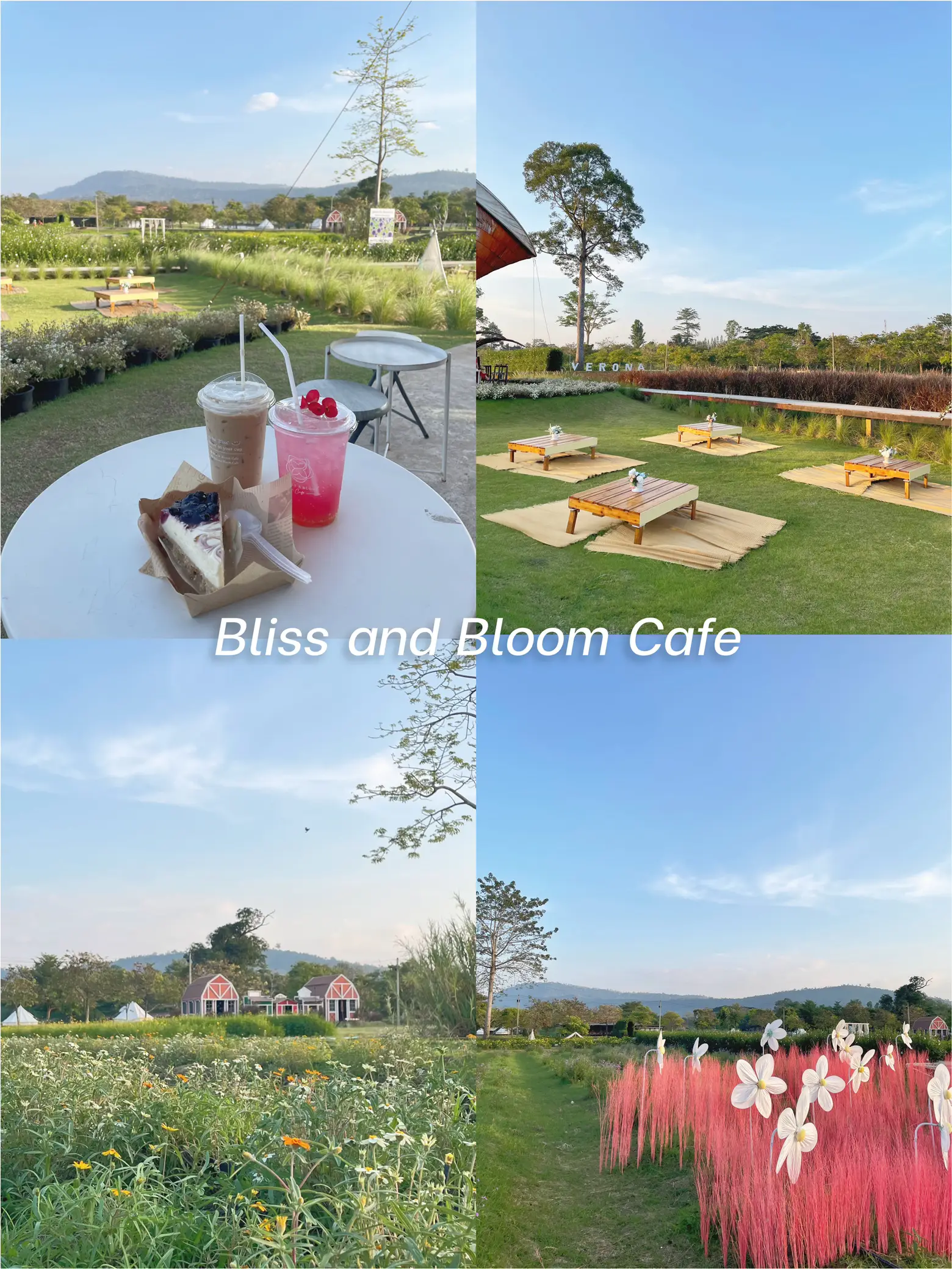 ที่พัก คาเฟ่ กิจกรรม ครบจบที่ The Verona at Tablan 🌼 | แกลเลอรีที่โพสต์ ...