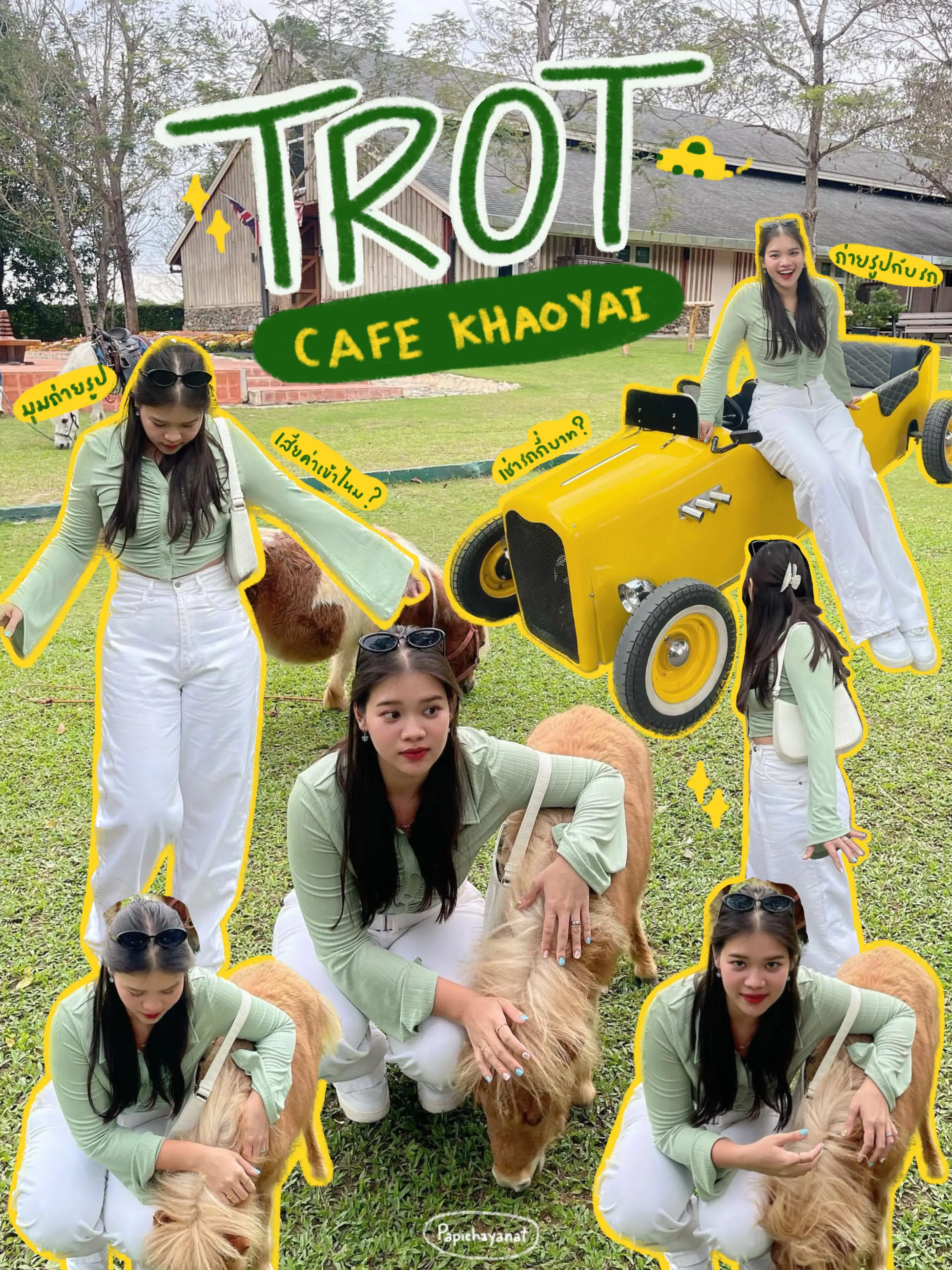 TROT CAFE KHAOYAI 🐴🌳 เปิดวาร์ปคาเฟ่เขาใหญ่สุดน่ารัก🚗☀️ | แกลเลอรีที่ ...