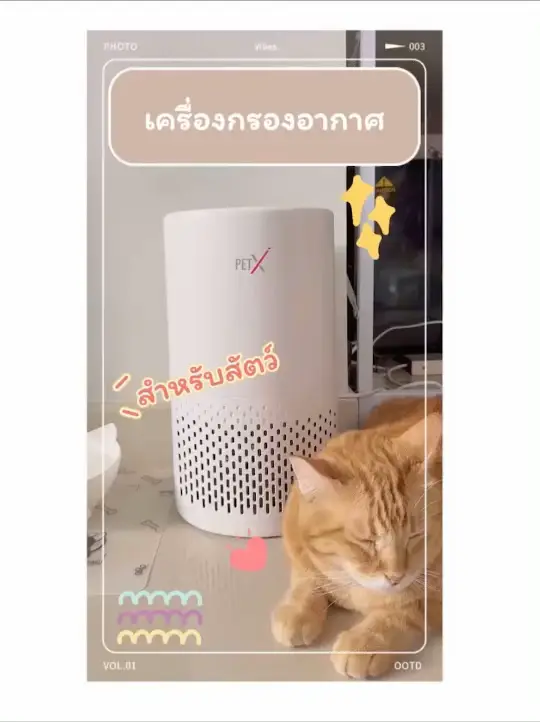 แก้บ้านเหม็นง่ายๆ ด้วยPetX (สำหรับบ้านที่มีสัตว์เลี้ยง) 🐶🐱🐹🐰 | วิดีโอที่เผยแพร่โดย Mondee ...