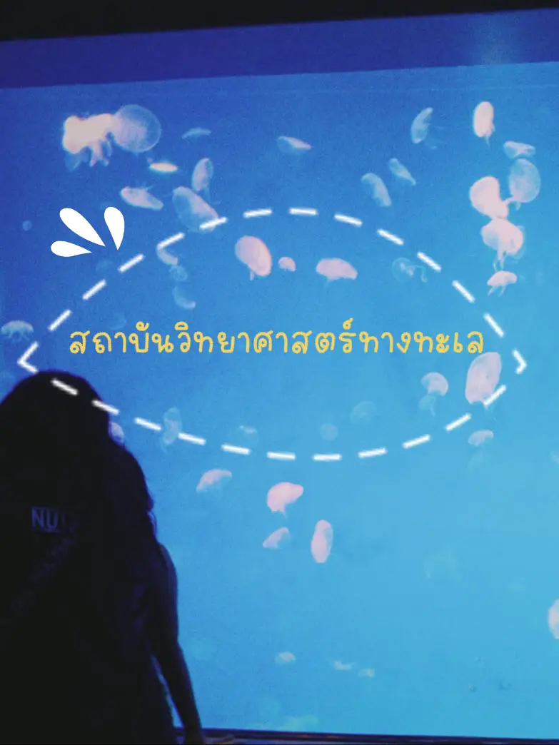 🔷พาเที่ยวอควาเรียมใกล้กรุงเทพ🐠💦 | แกลเลอรีที่โพสต์โดย RoyKeane | Lemon8